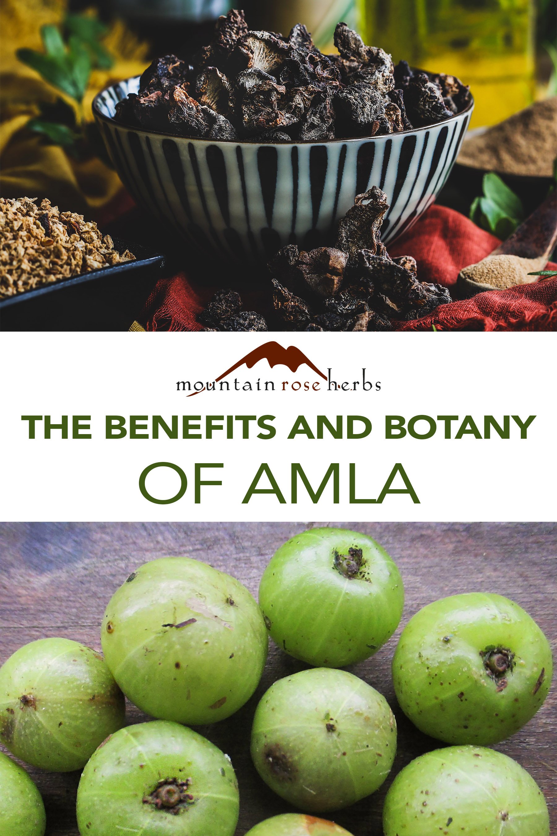 The Benefits and Botany of Amla