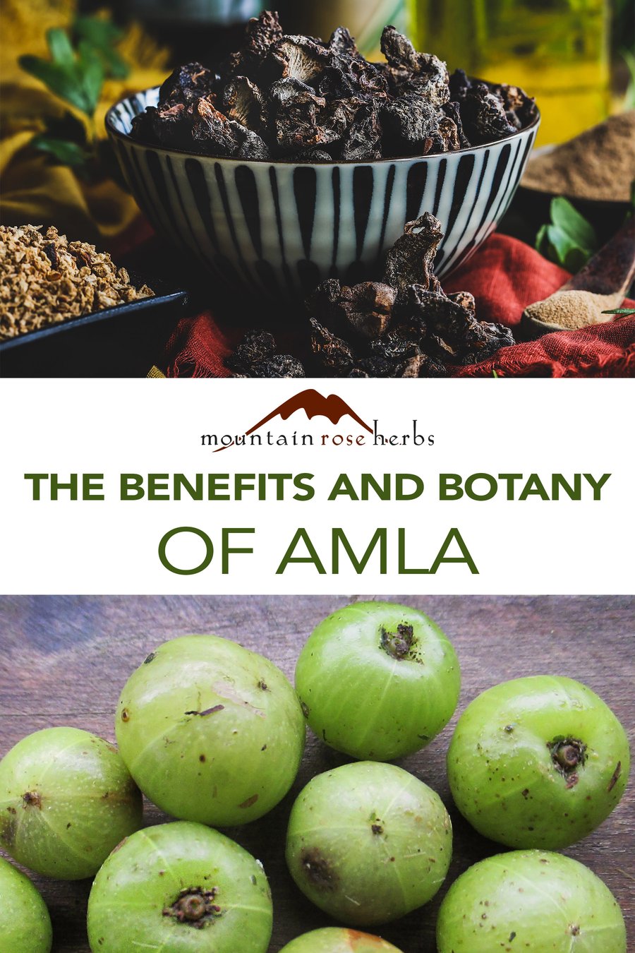 The Benefits and Botany of Amla