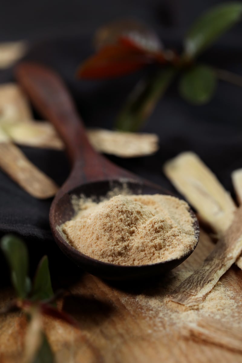 Support Spring Immunity with Traditional Chinese Medicine