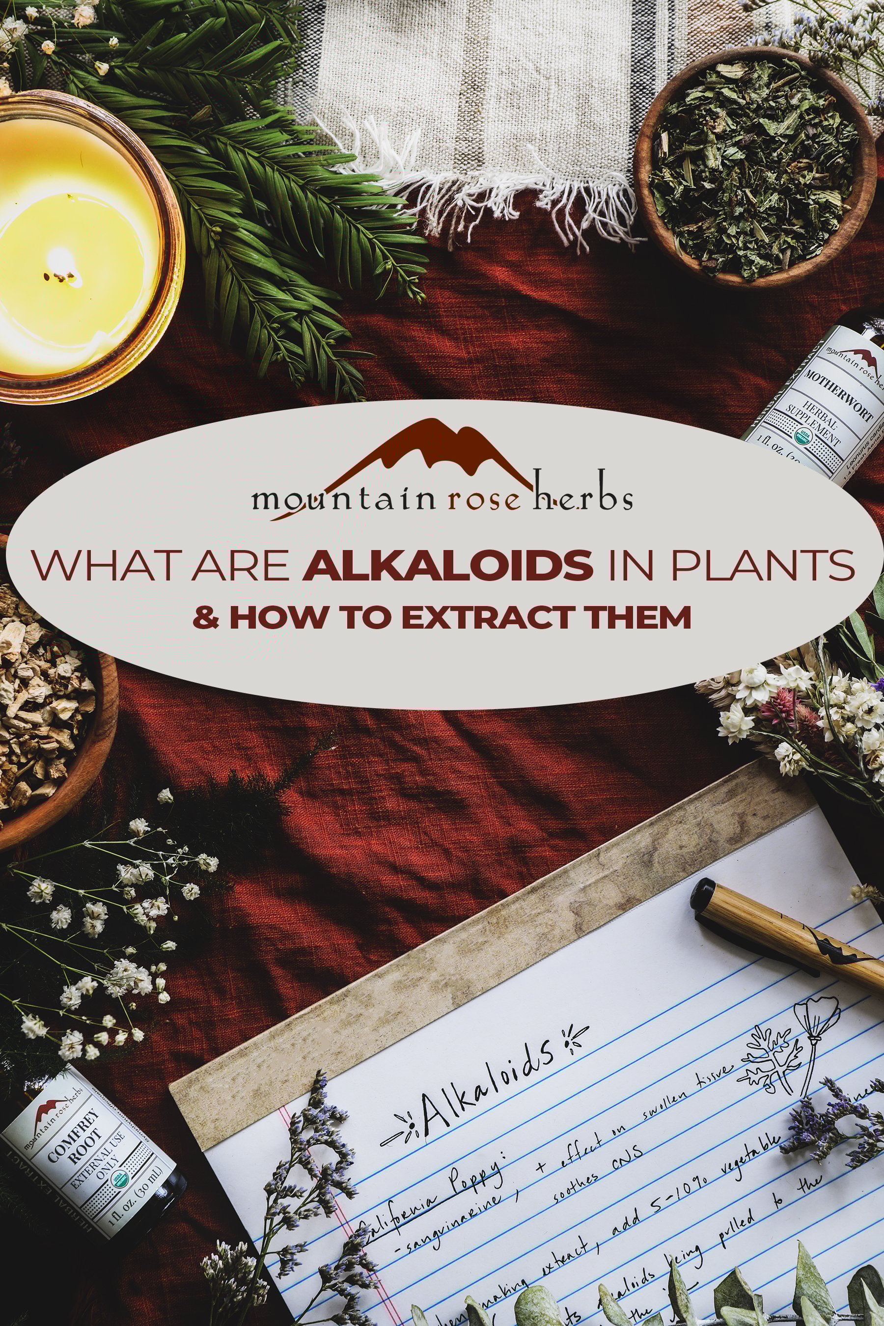 What Are Alkaloids in Plants & How to Extract Them
