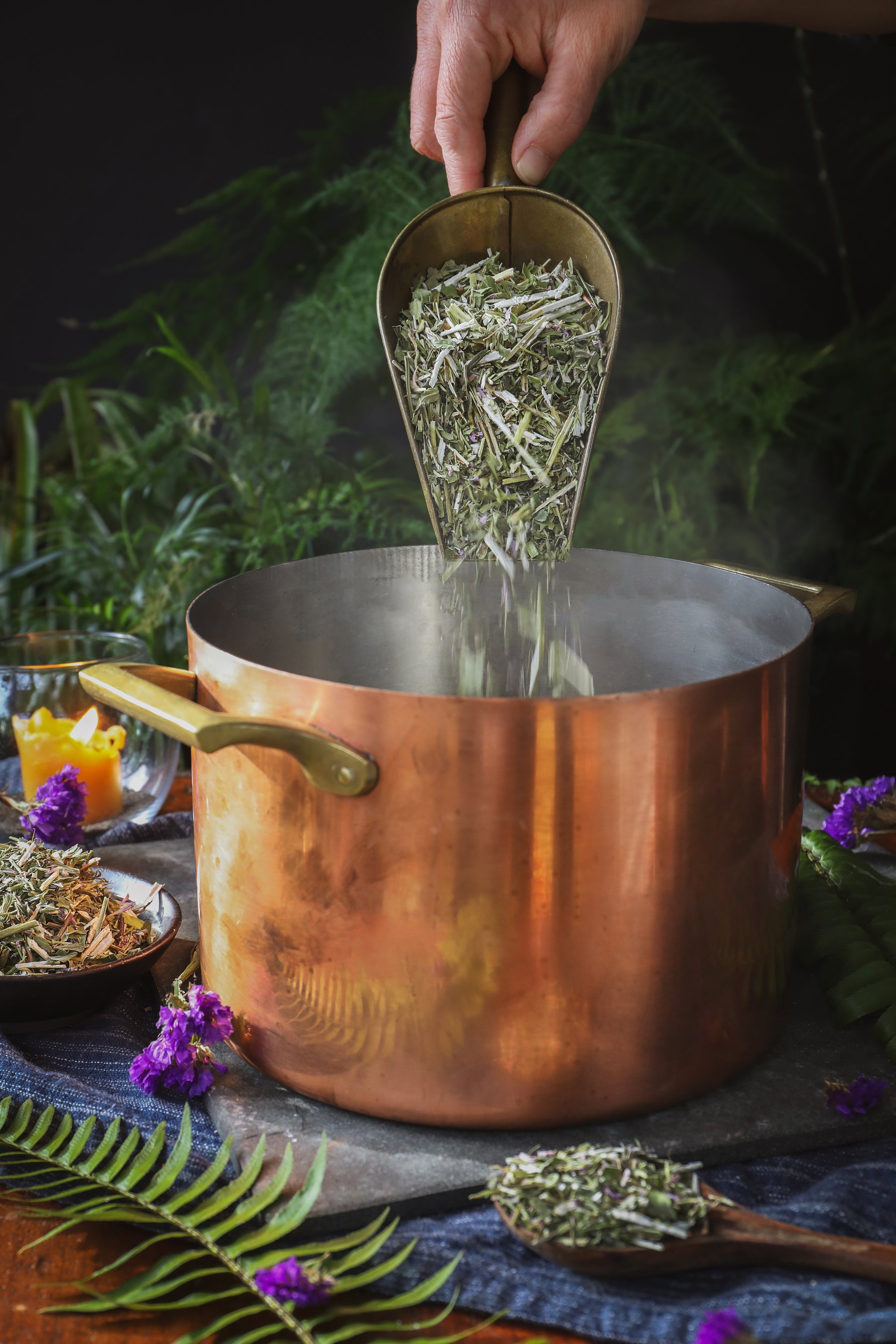 Bee Balm Monograph + Herbal Steam Recipe