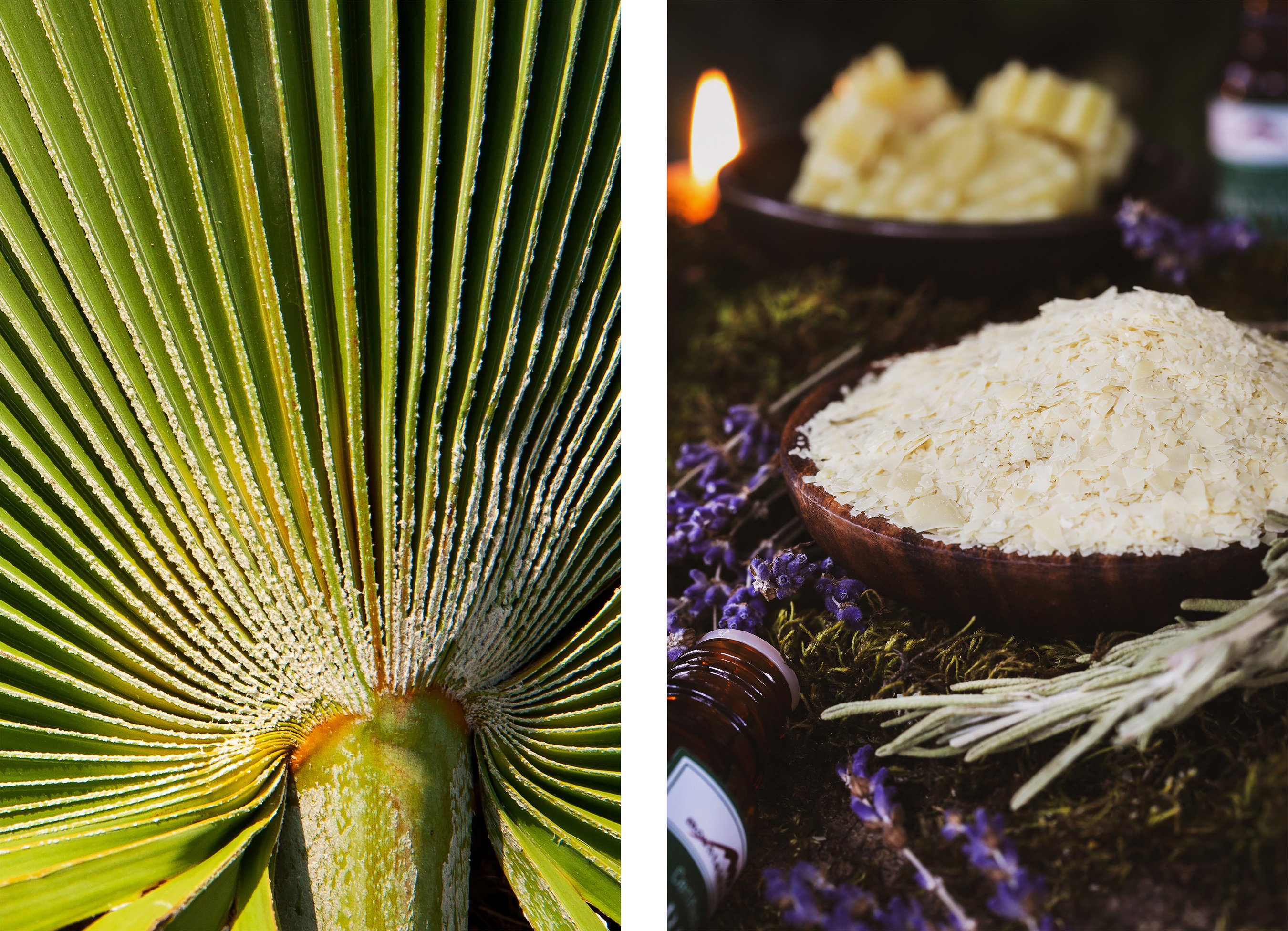 How to Make Vegan Wax Melts + Stress Support Essential Oil Blend