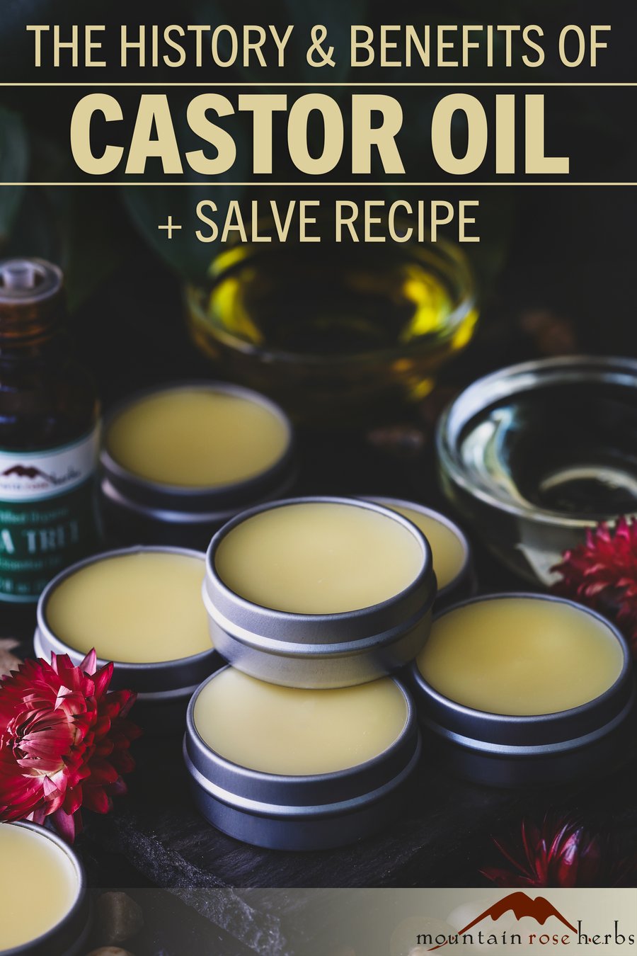 Benefits & History of Castor Oil + Salve Recipe