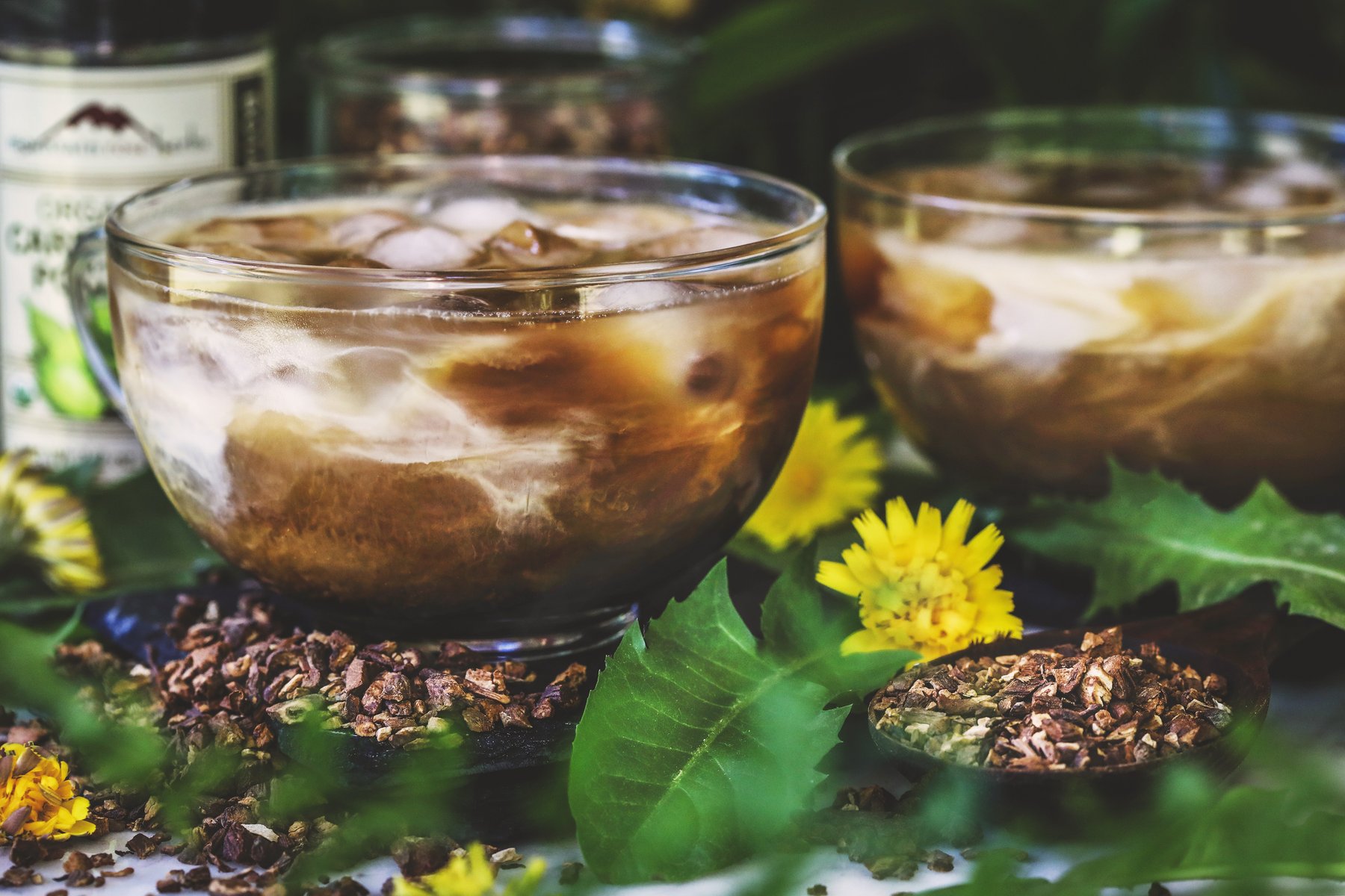 Dandelion Monograph: History, Benefits, &Recipe