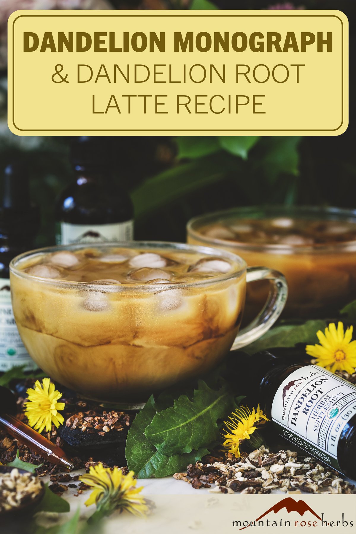 Dandelion Monograph: History, Benefits, &Recipe