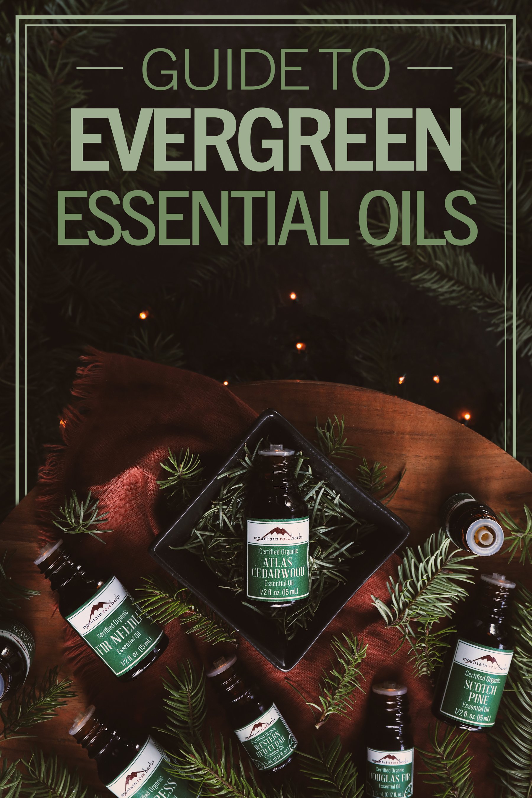 Guide to Evergreen Essential Oils