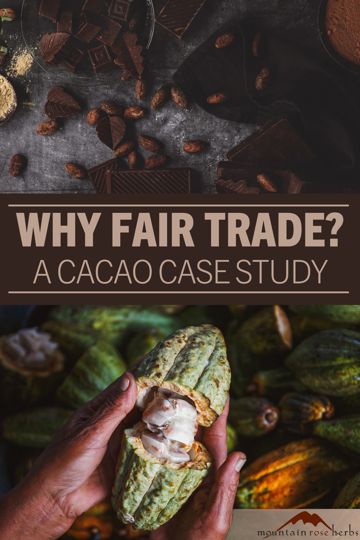 The Value of Fair for Life Certification: A Cacao Case Study