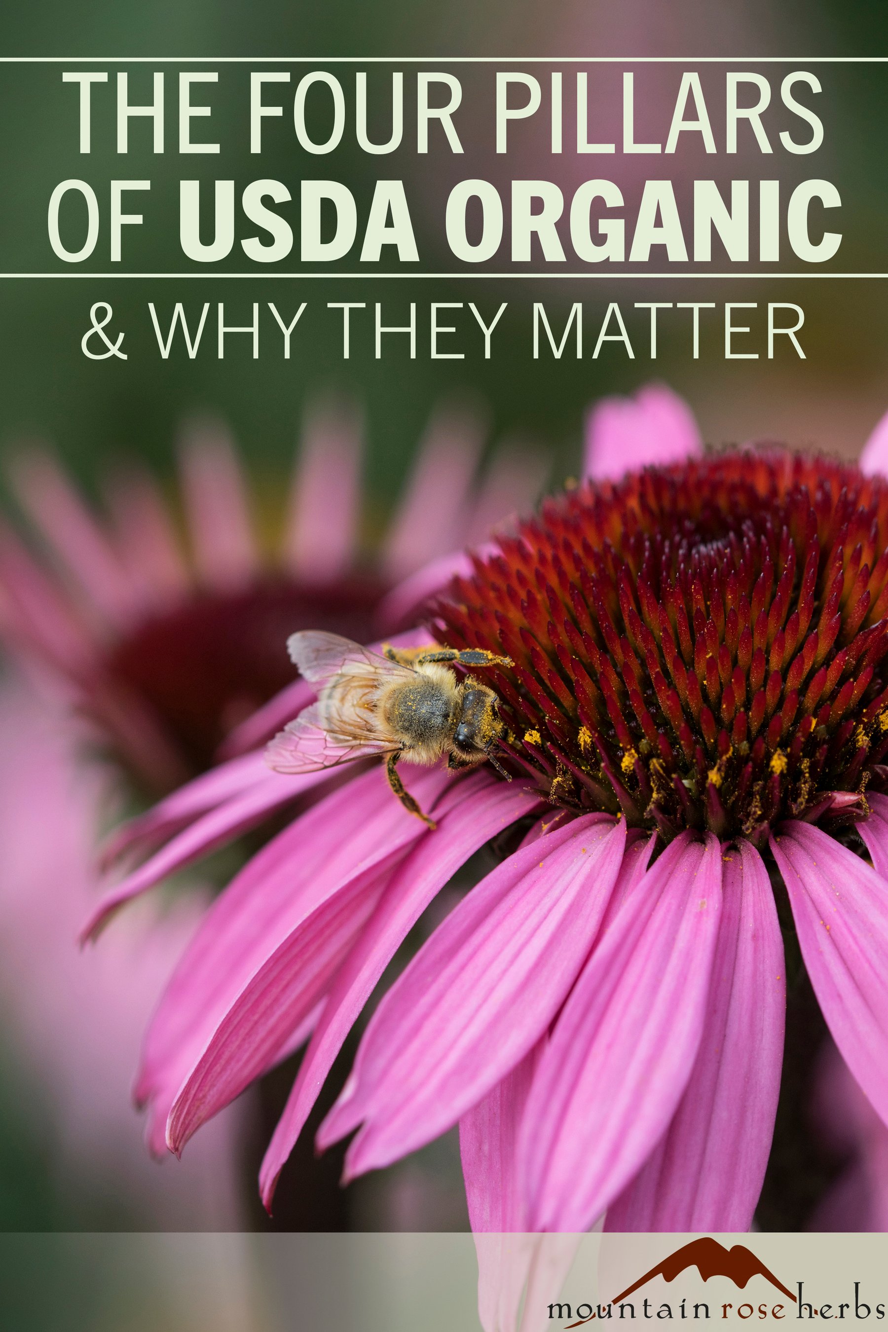 The Four Pillars of UDSA Organic & Why They Matter