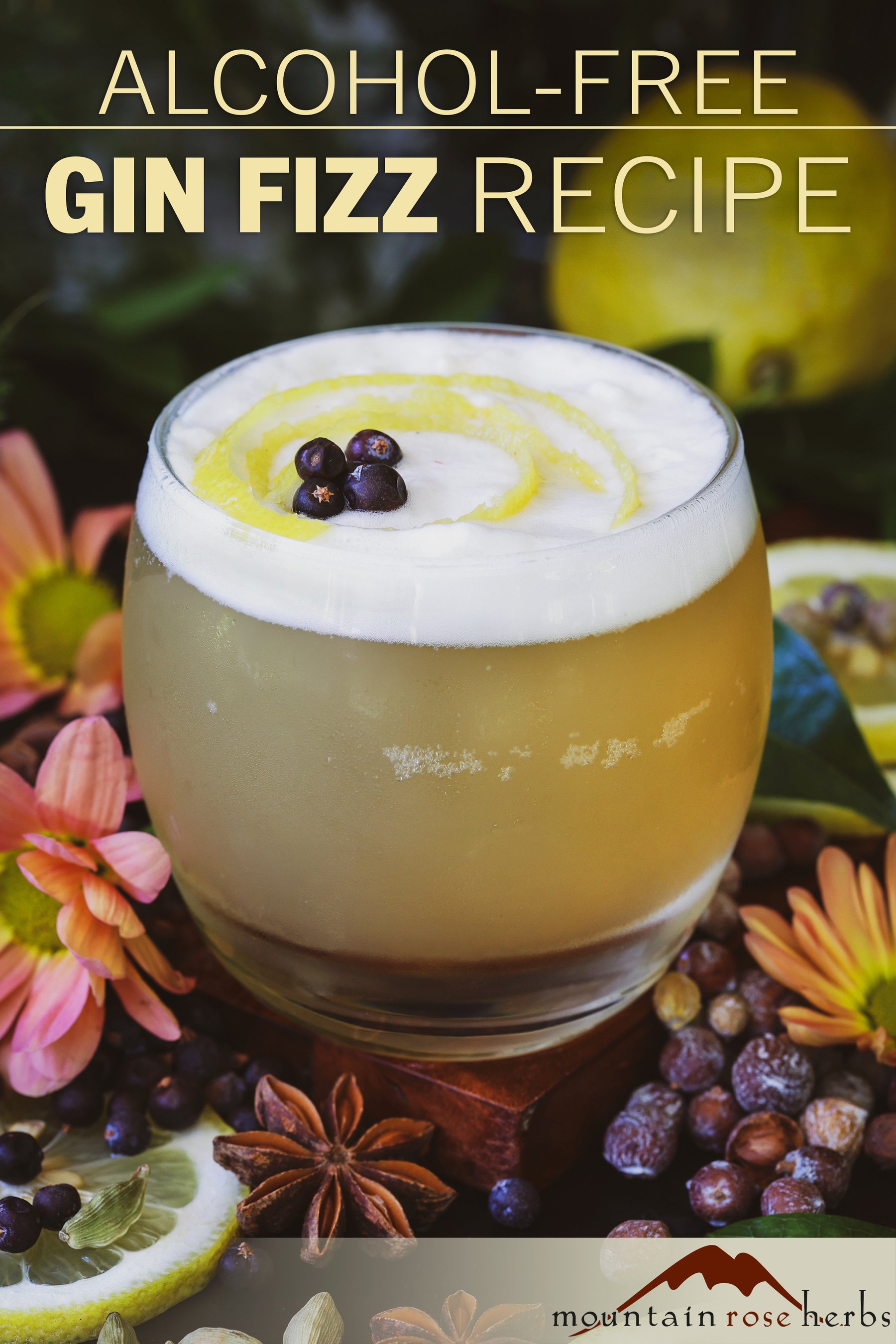 Non-Alcoholic Herbal Gin Fizz Recipe