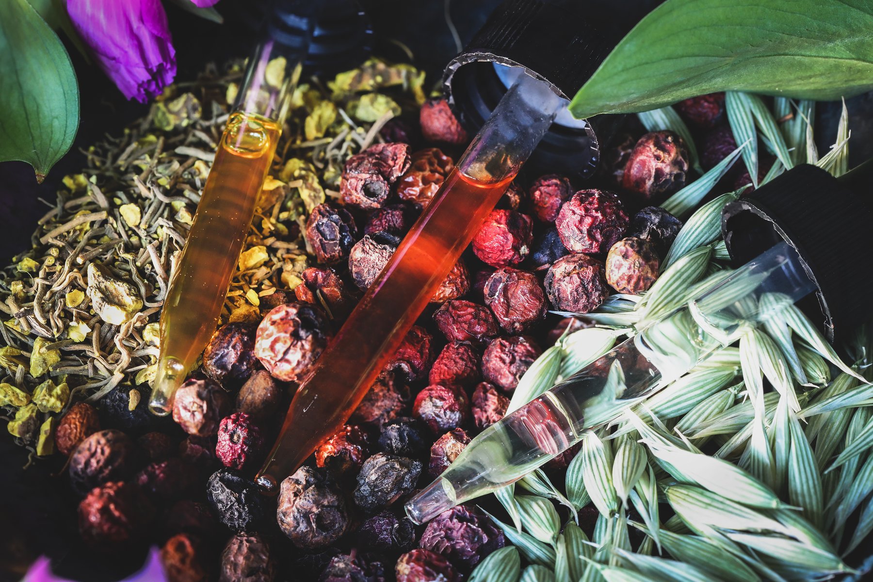 Glycerites: How to Use Vegetable Glycerine to Extract Herbal Constituents