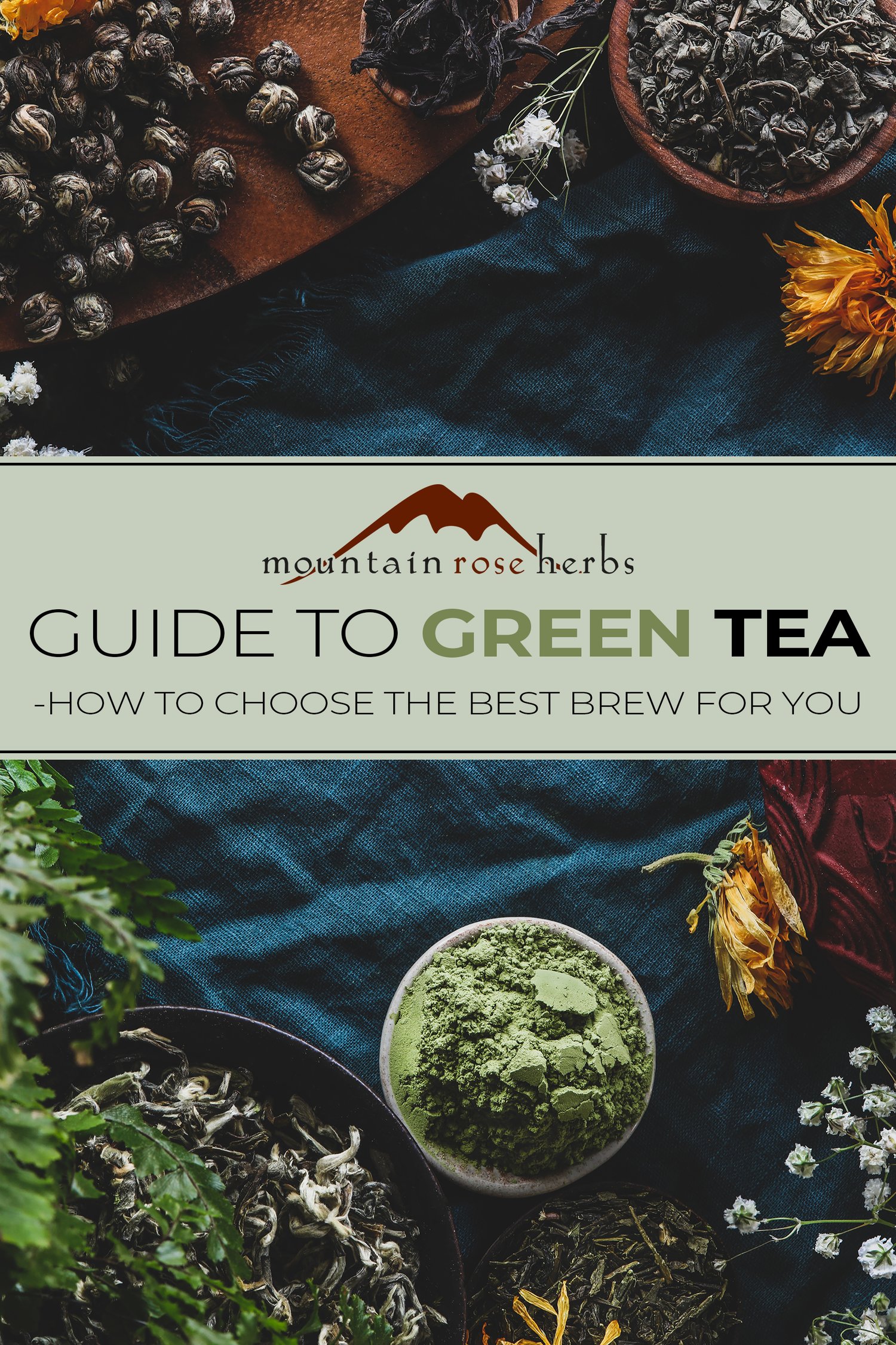 Guide to Green Tea: How to Determine Quality and Flavor Expectations