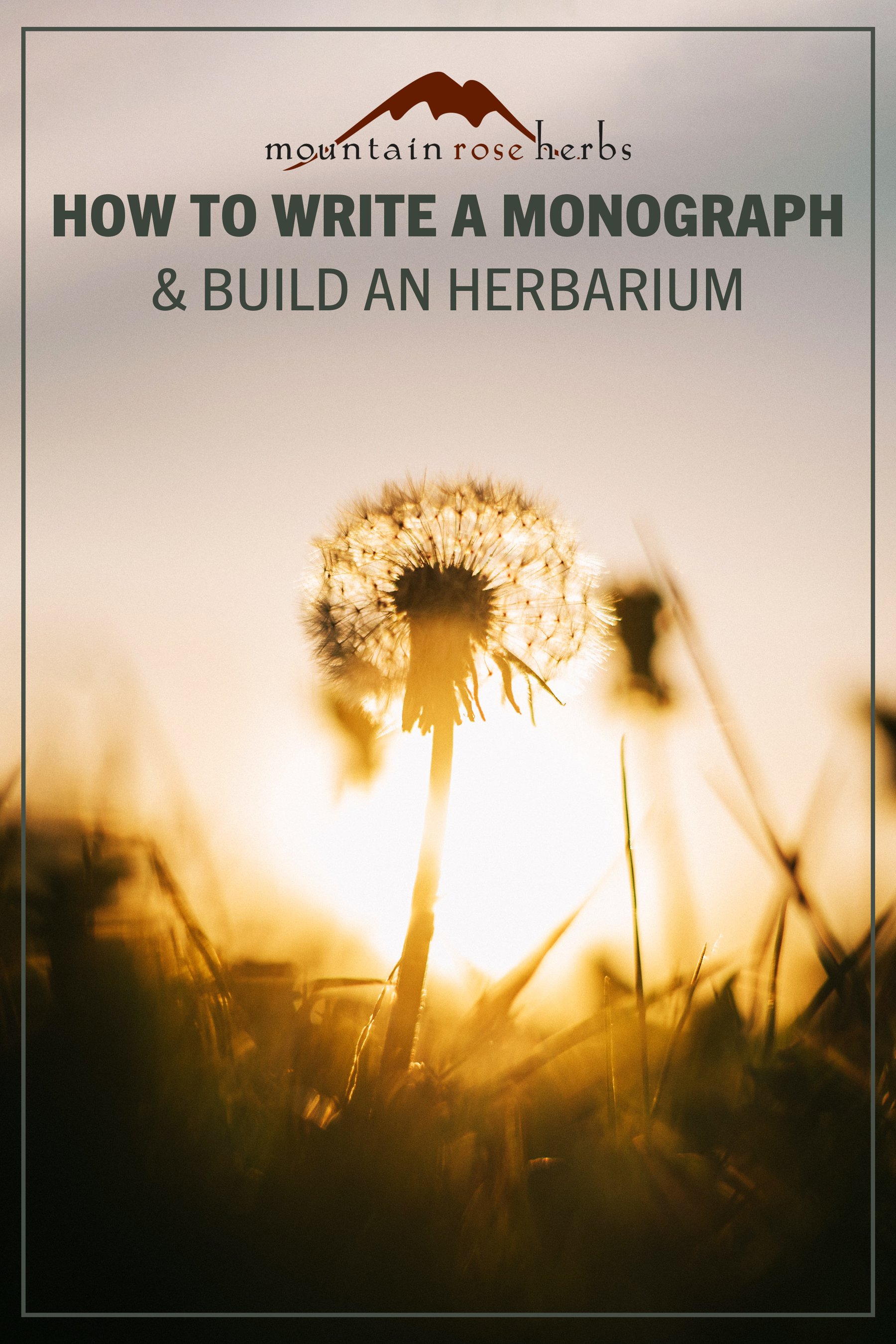 How to Write a Monograph & Build a Materia Medica