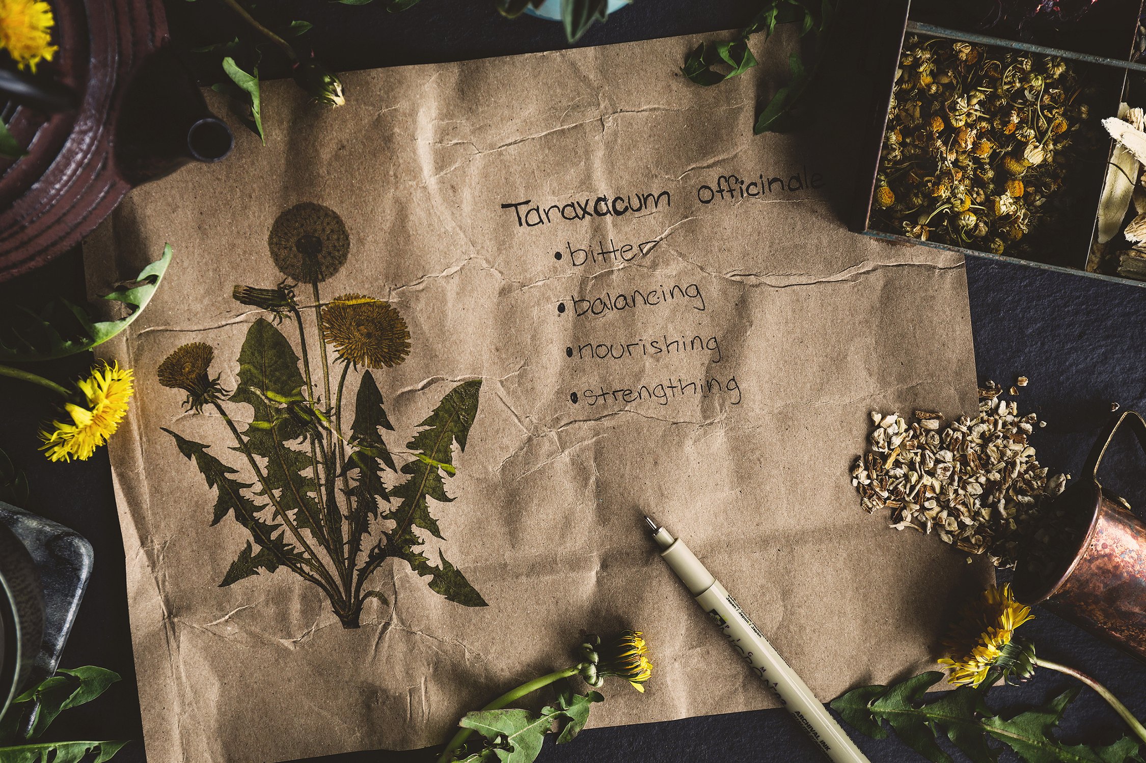 How to Write a Monograph & Build a Materia Medica