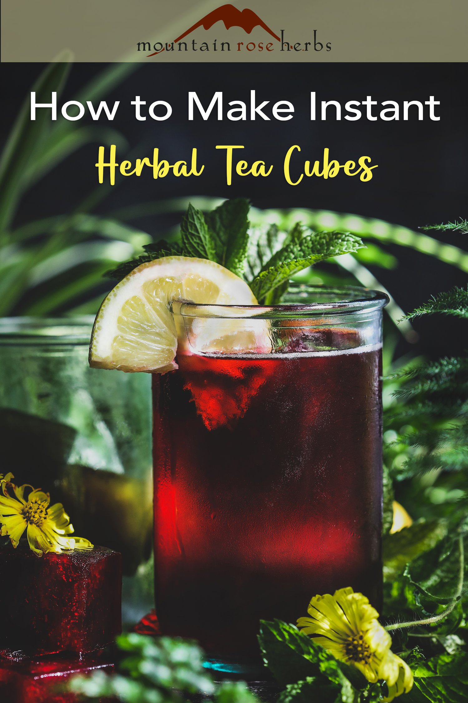 How to Make Instant Herbal Tea Cubes