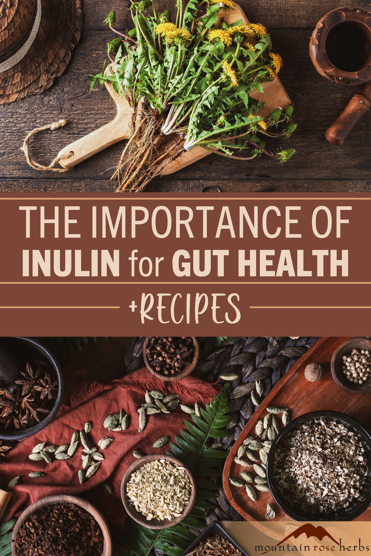 What is Inulin and How it Supports Digestion + Herbal Recipes