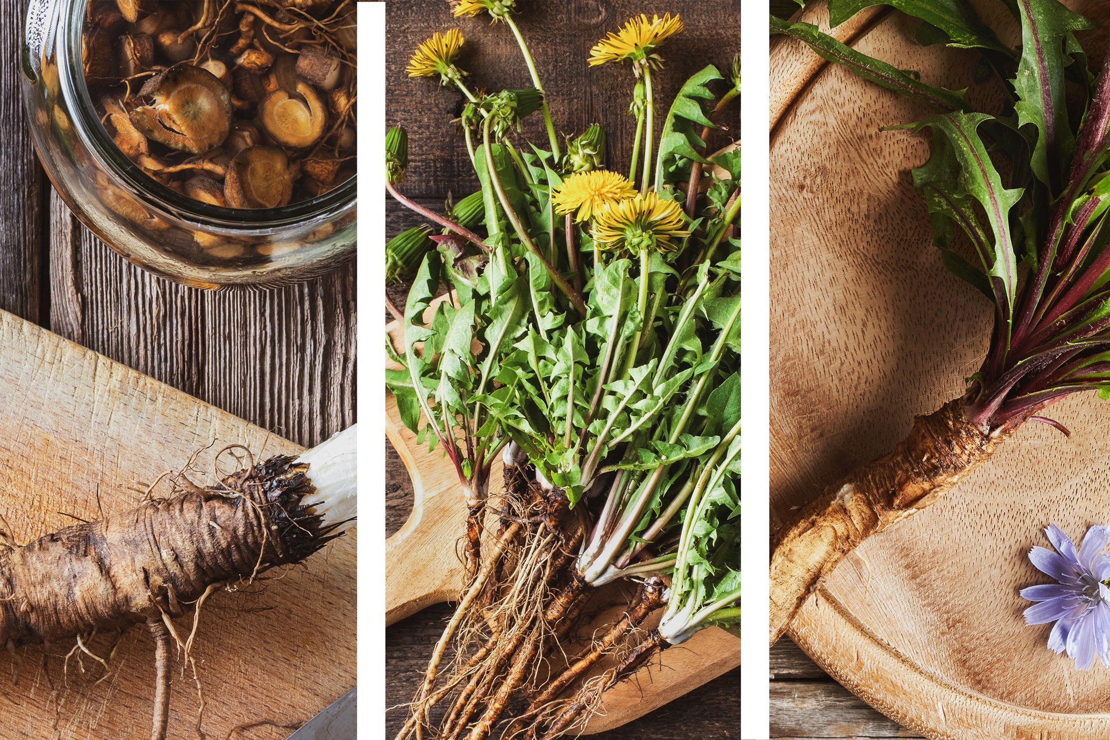 What is Inulin and How it Supports Digestion + Herbal Recipes