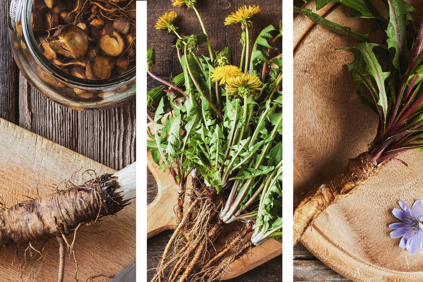 What is Inulin and How it Supports Digestion + Herbal Recipes