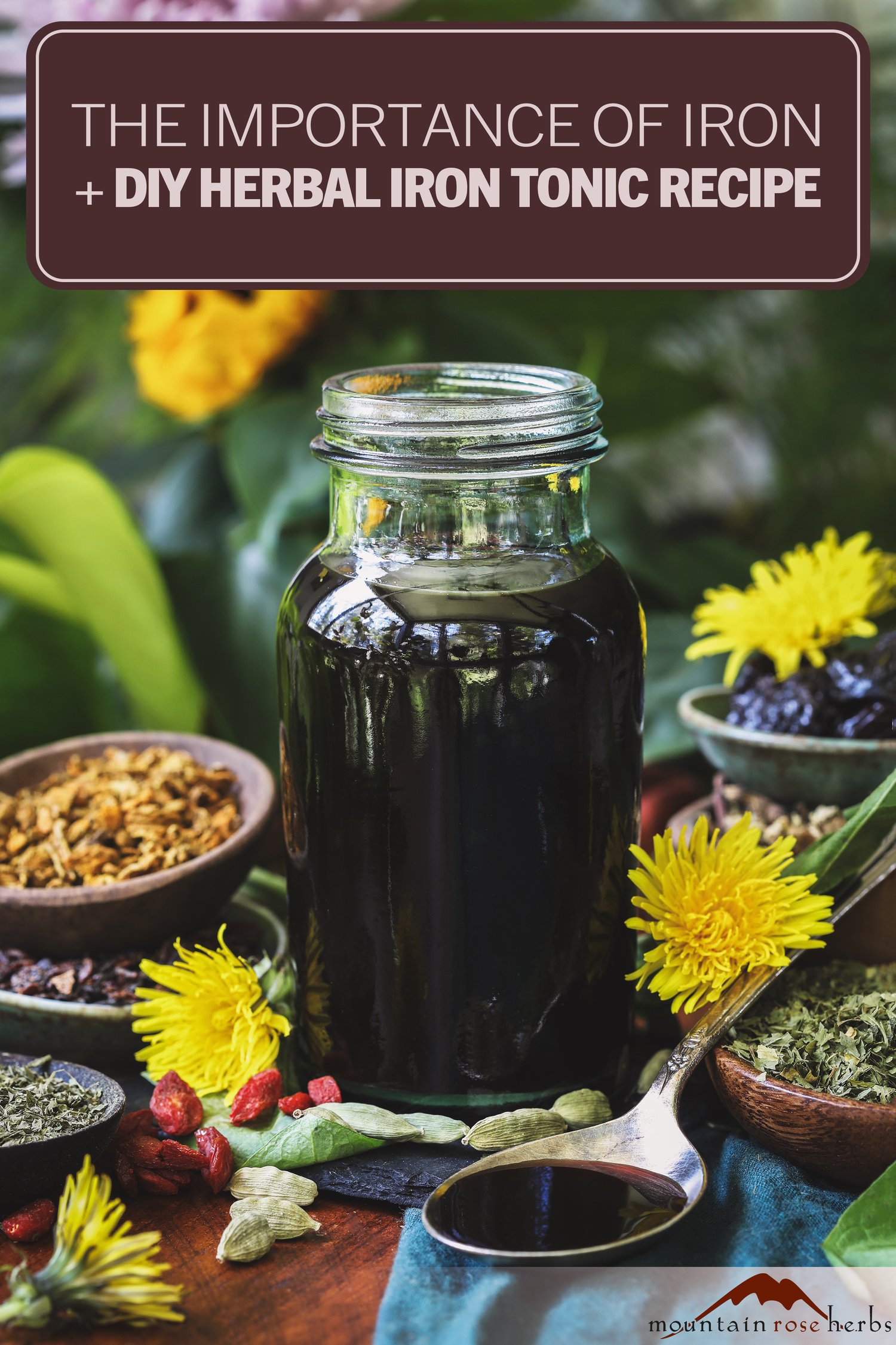 The Importance of Iron + DIY Iron Tonic