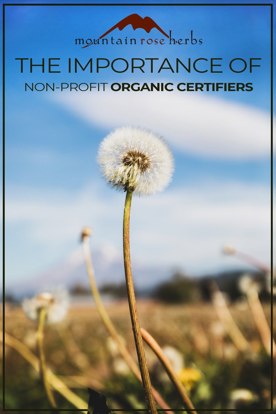 Why Mountain Rose Herbs Chooses Oregon Tilth as Its Organic Certifier