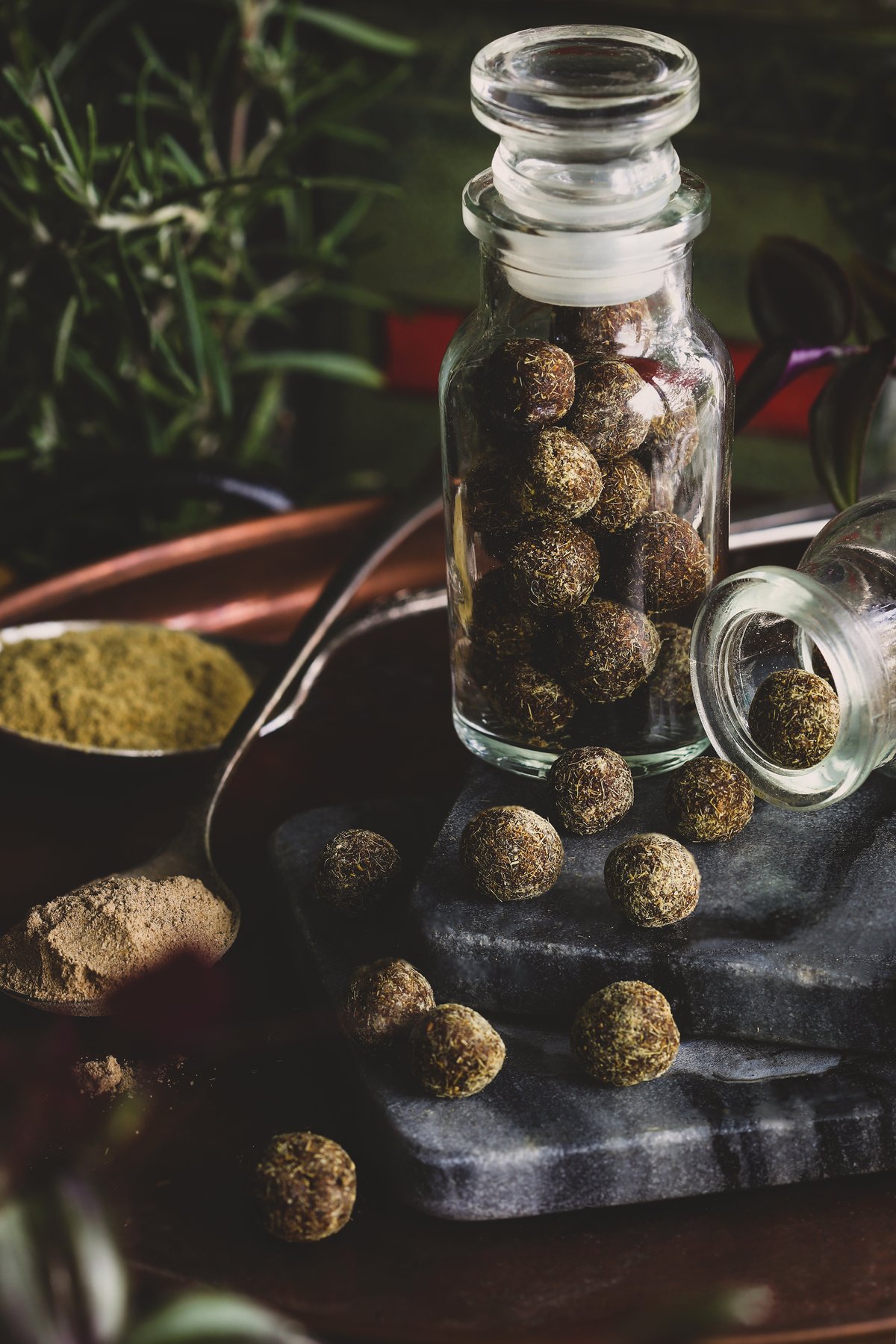 Osha: A Supportive, but At-Risk Plant Ally