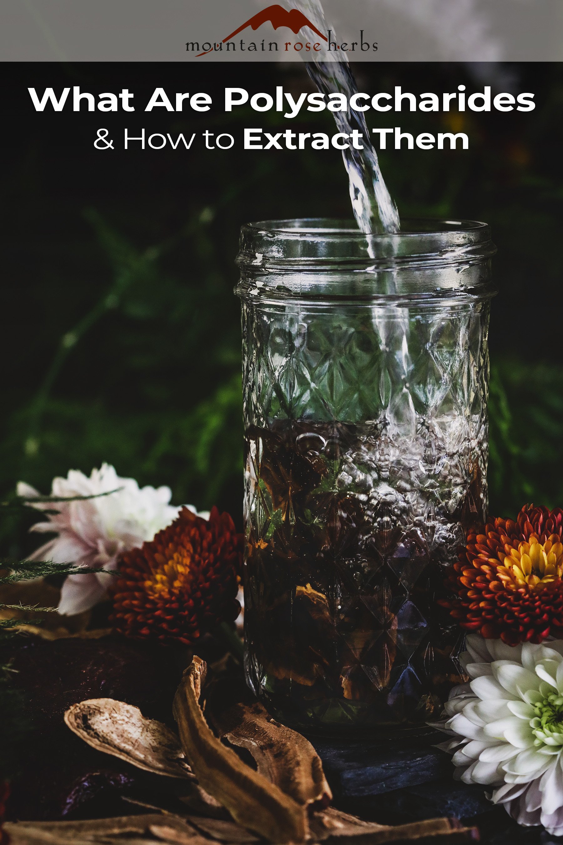 What Are Polysaccharides & How to Extract Them