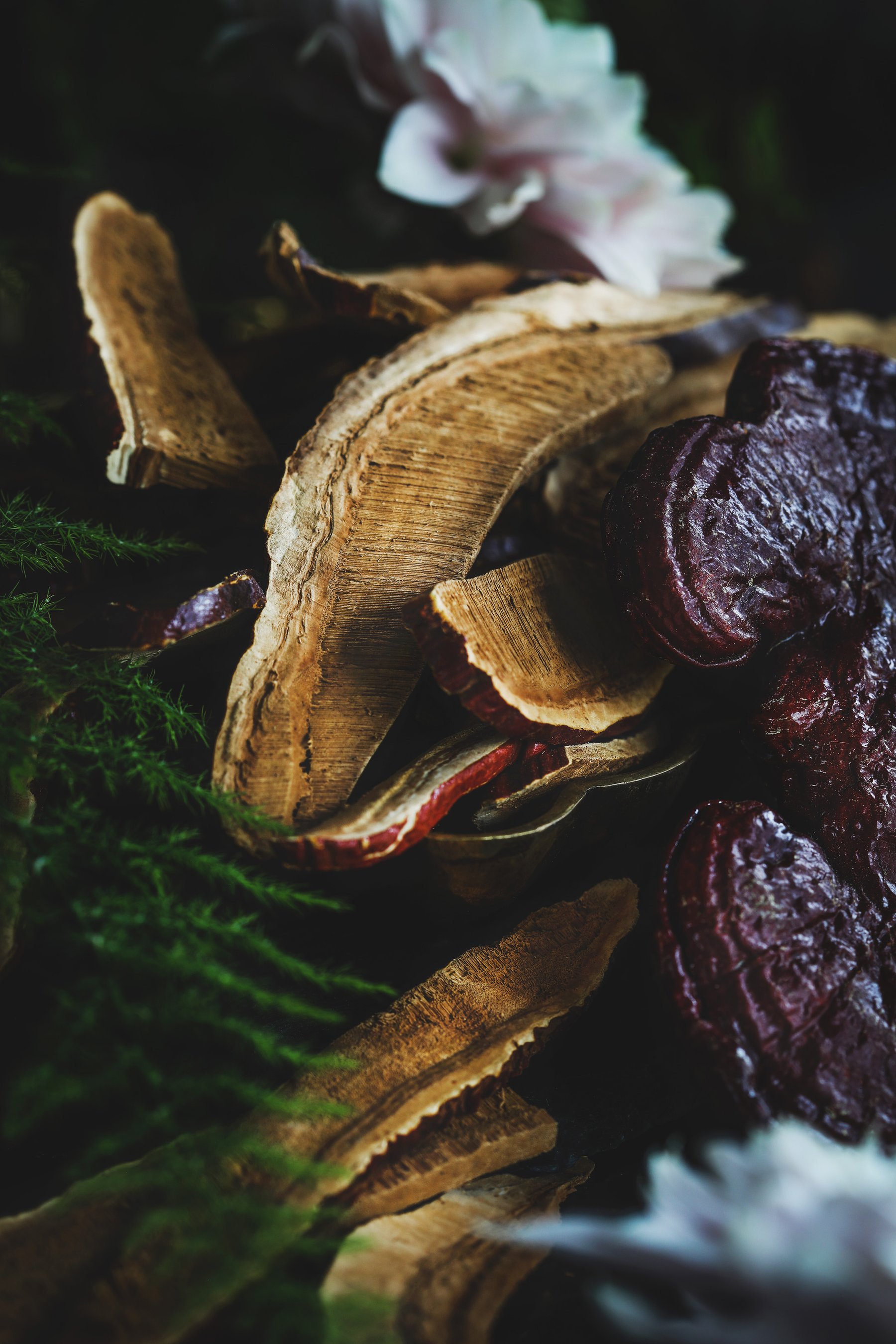 What Are Polysaccharides & How to Extract Them