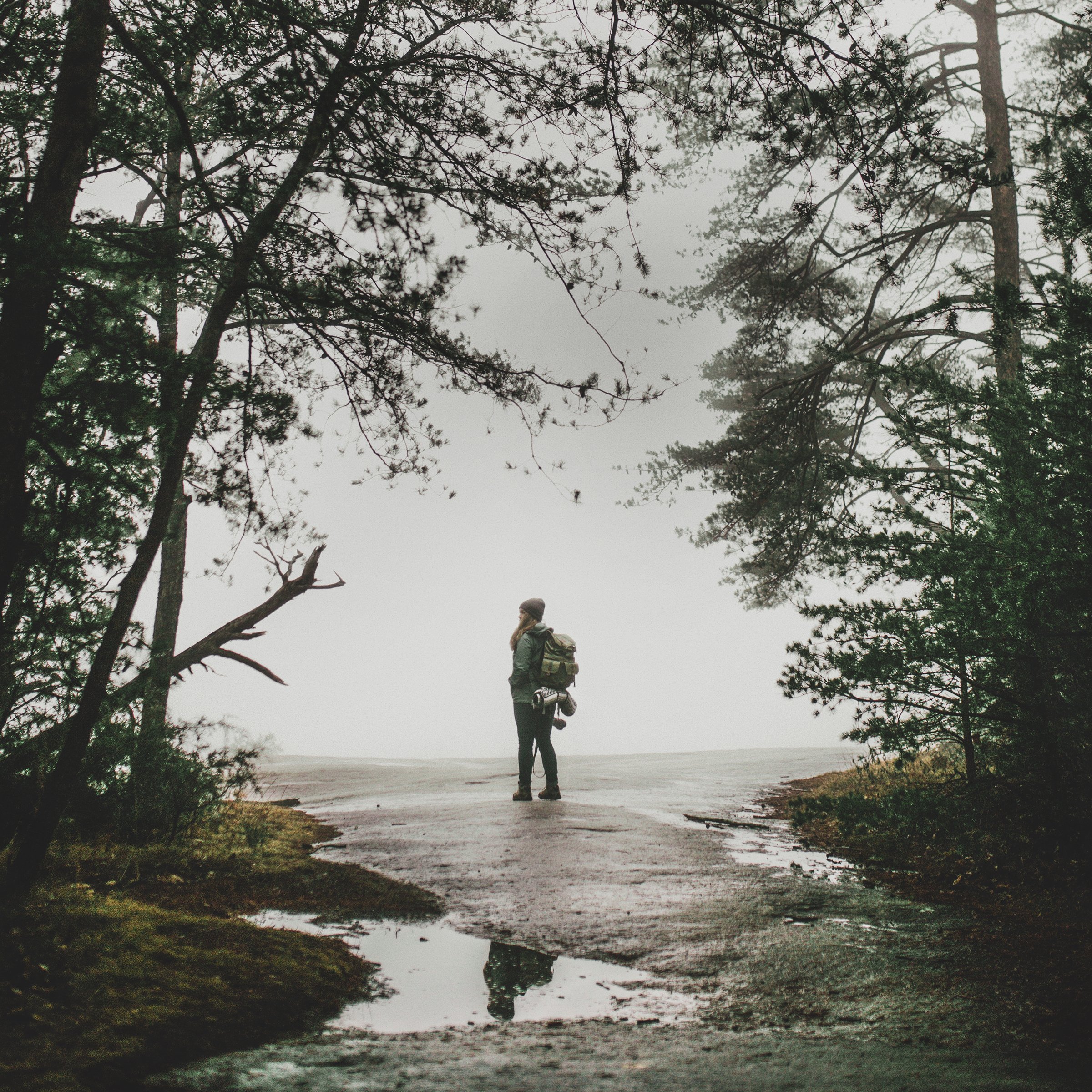 How to Protect At-Risk Plants & Ecosystems While Enjoying Nature