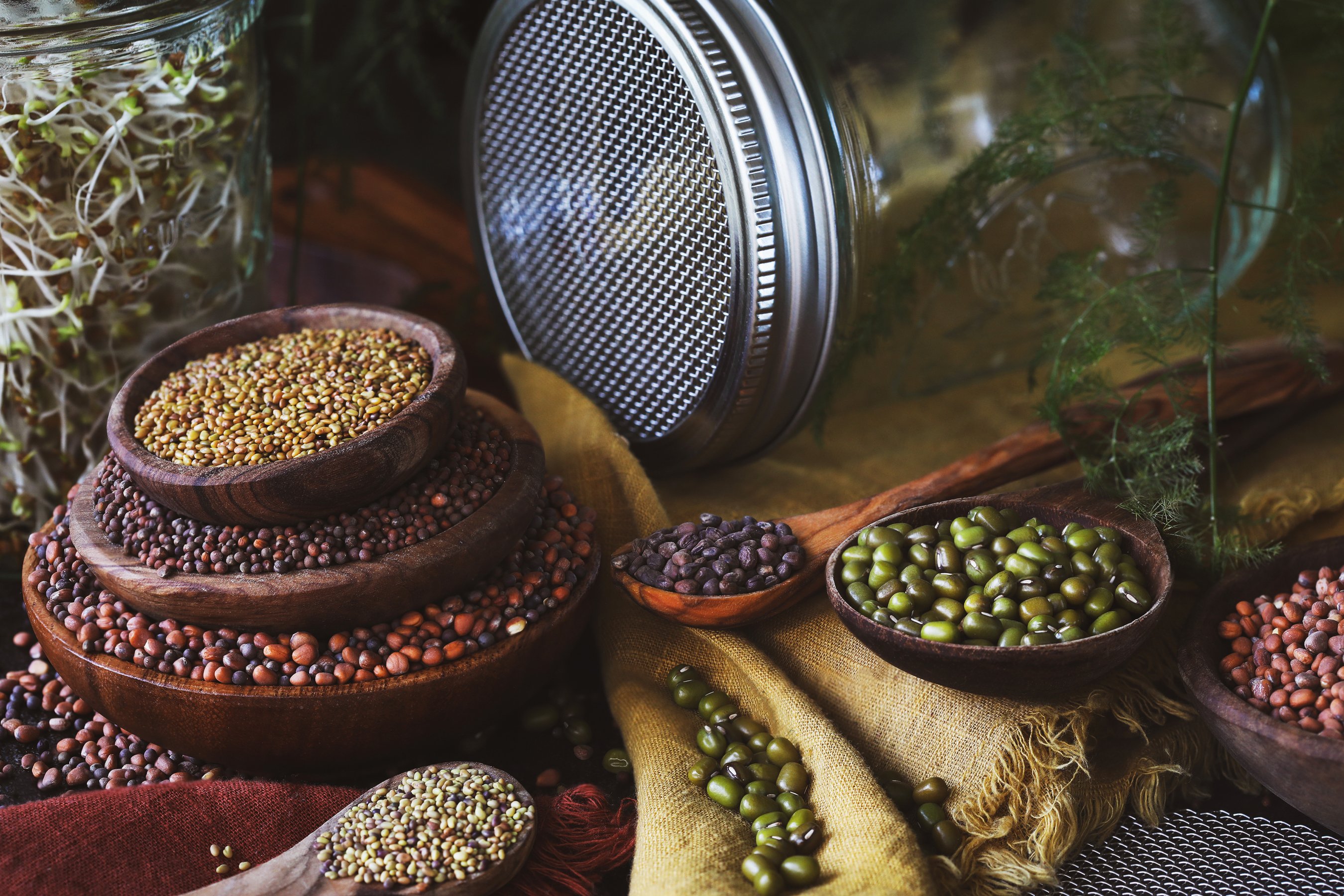 Sprouts: Growing Sustainable Food On Your Countertop
