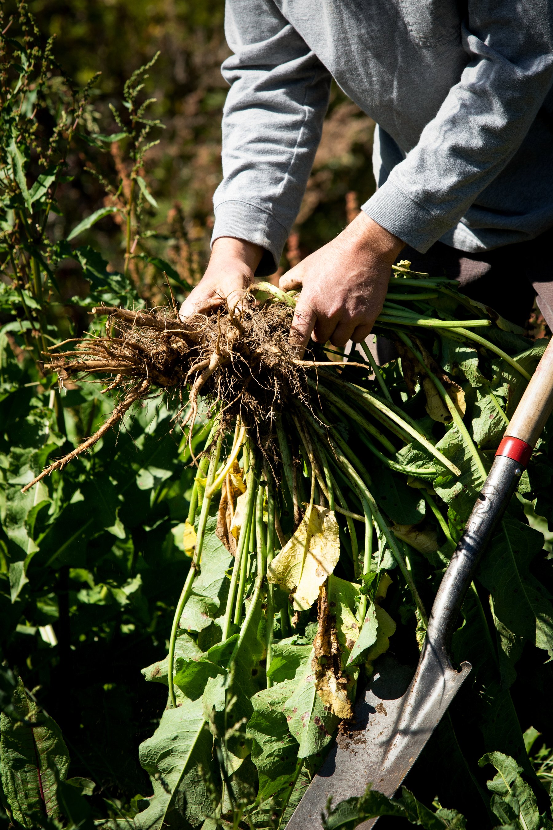 Uniting for Climate Day: One Step Closer to Sustainability
