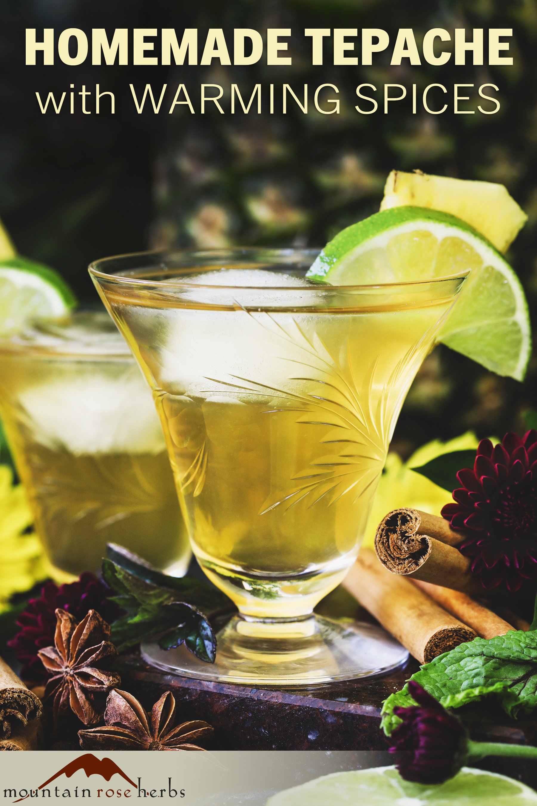 Tepache Recipe with Spices