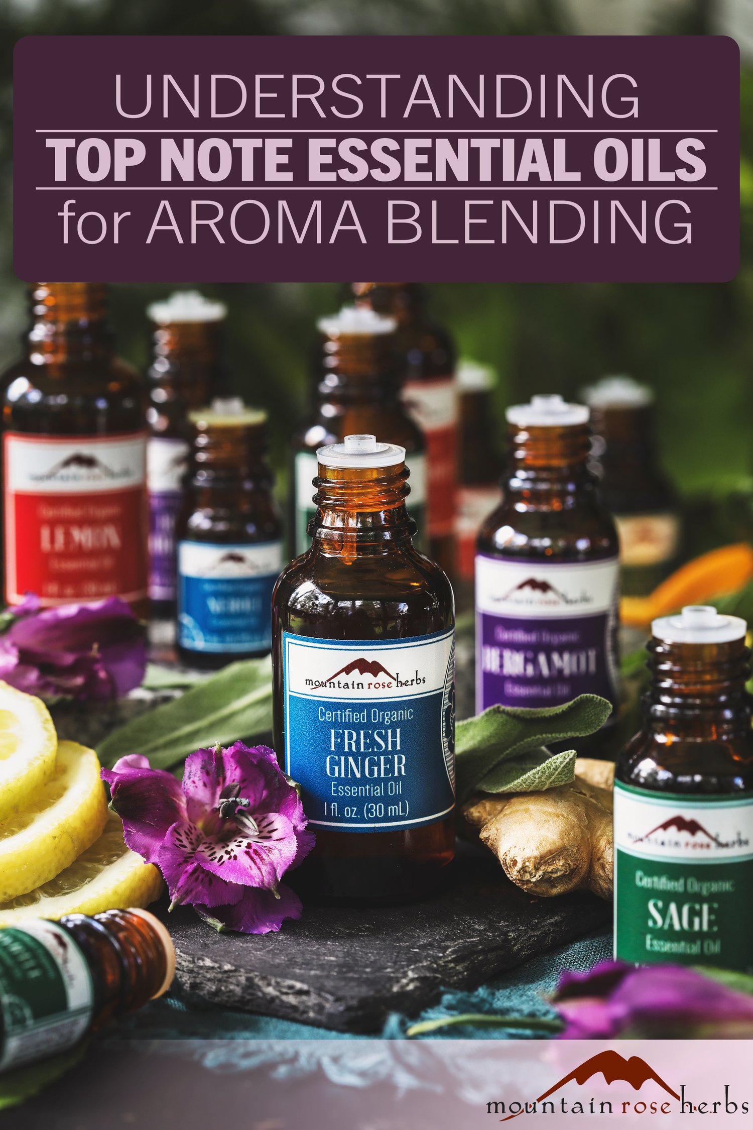 Understanding Aroma Notes For Essential Oil Blending: Top Notes