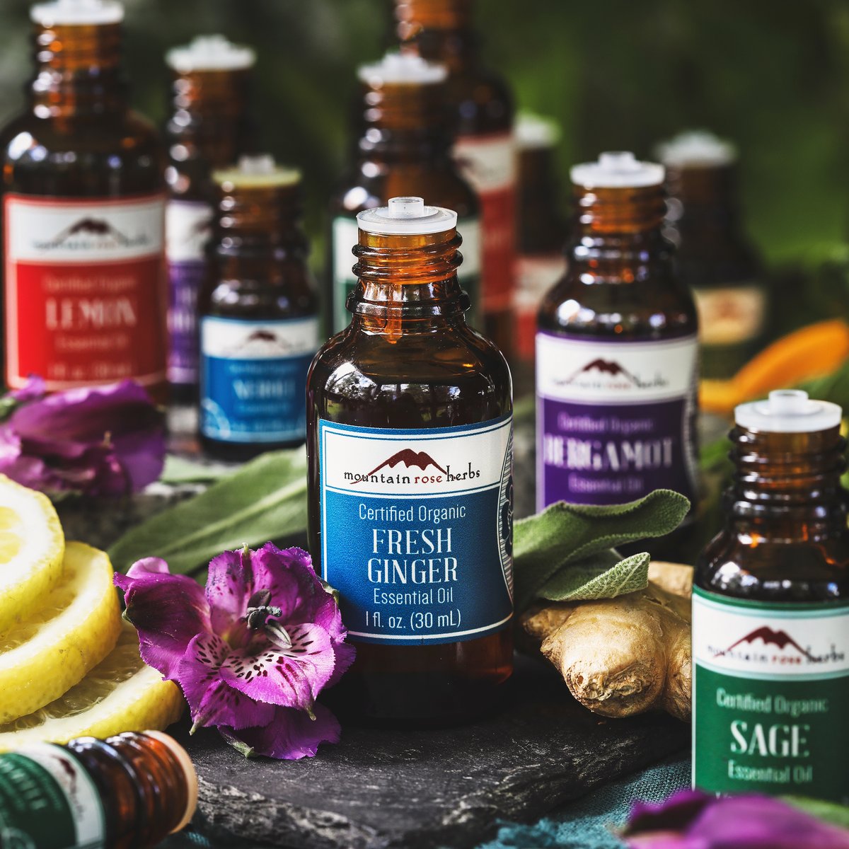 Understanding Aroma Notes For Essential Oil Blending: Top Notes