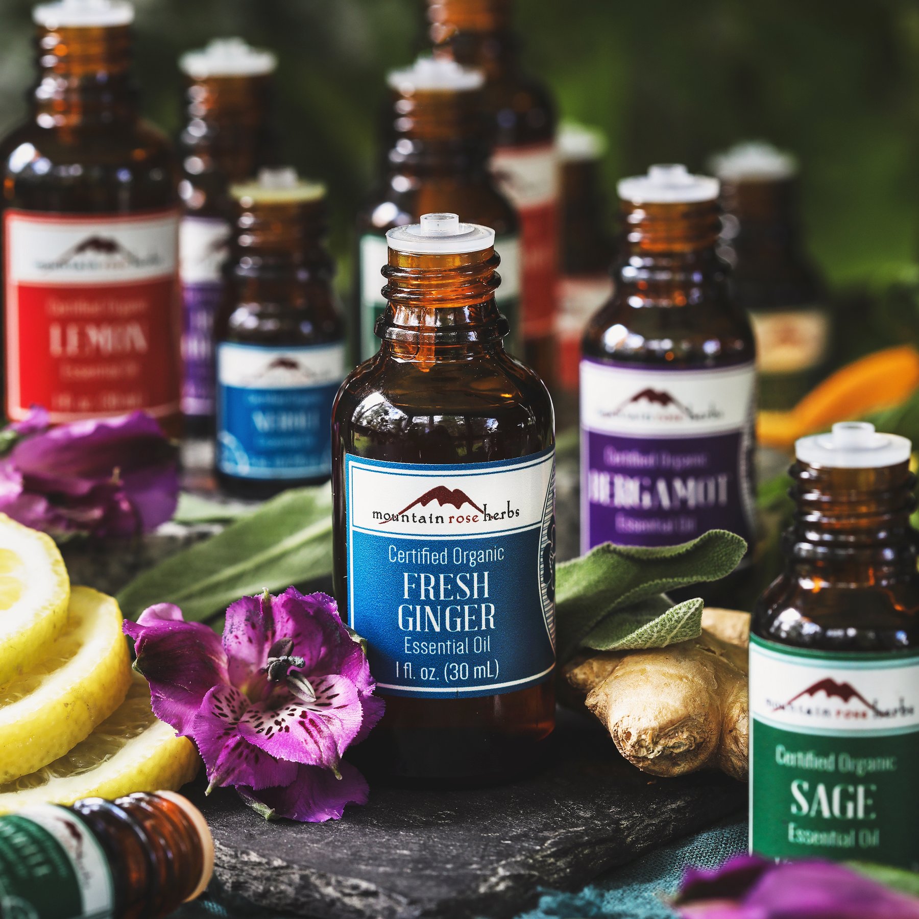 Understanding Aroma Notes For Essential Oil Blending: Top Notes