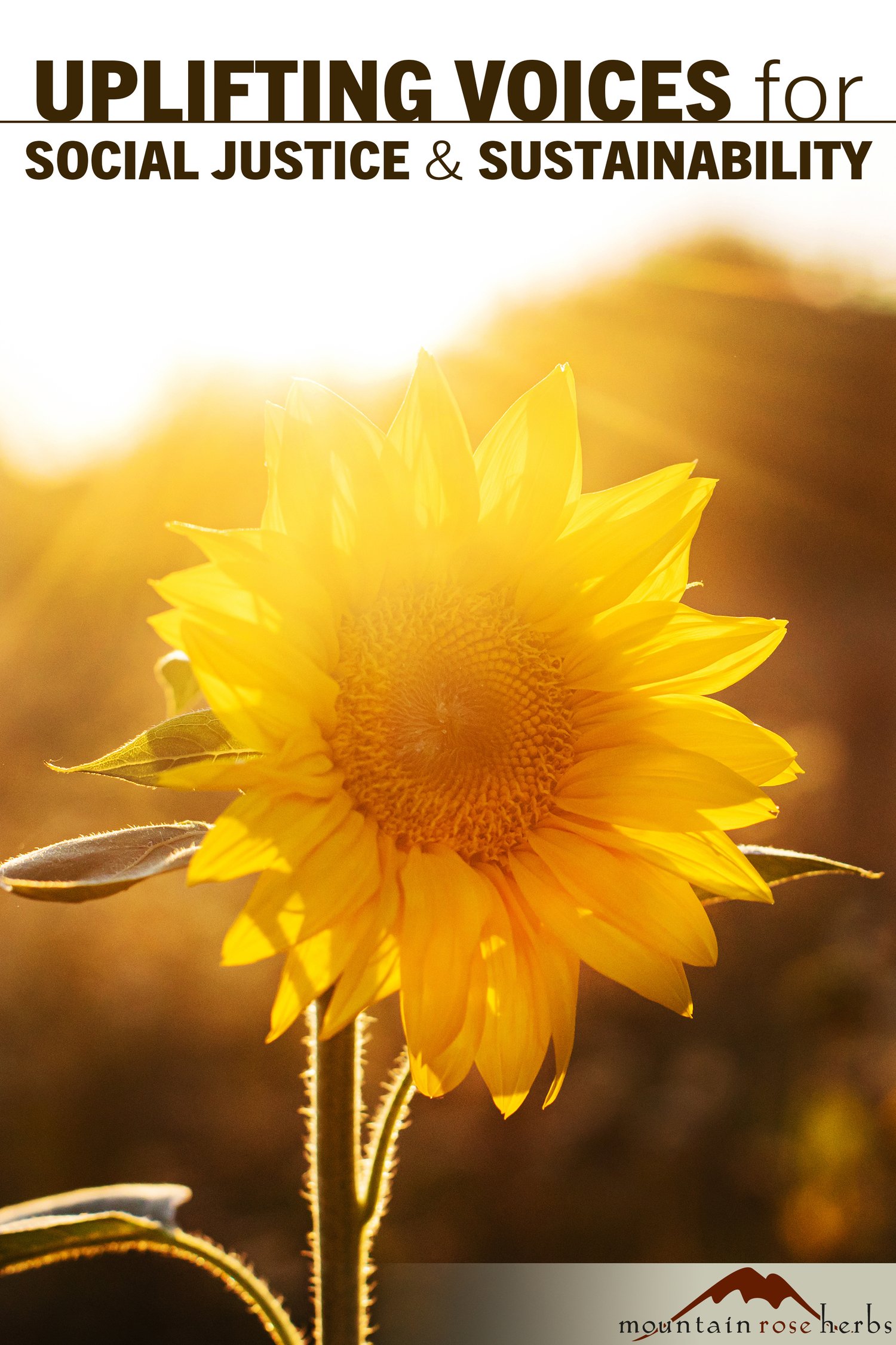 Uplifting Voices for Social Justice & Sustainability