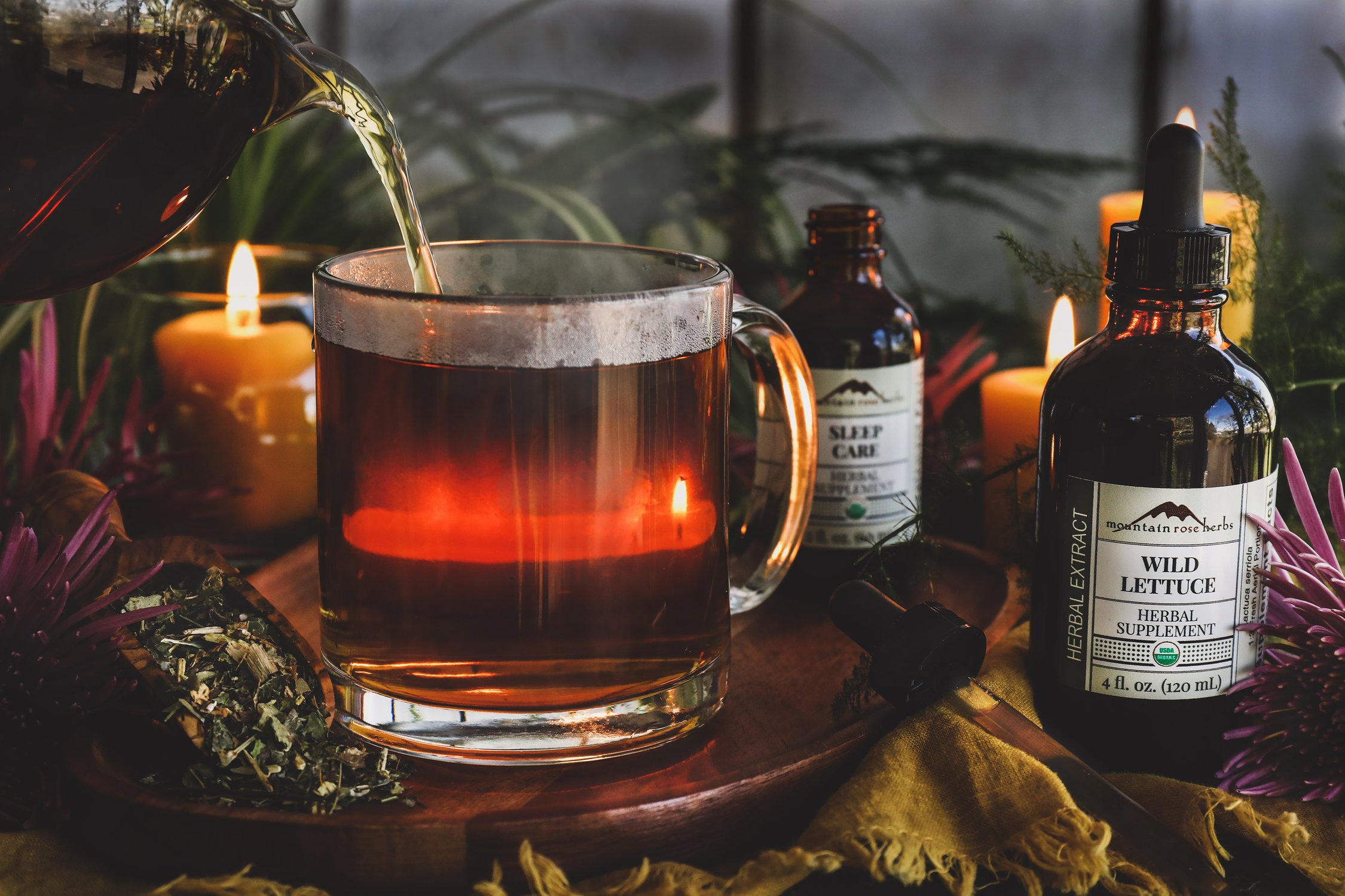 Wild Lettuce: Historical & Present Day Reflections of a Wild Herbal Ally