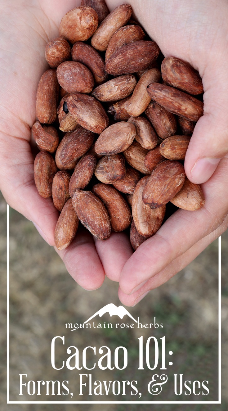 What is Cacao? Your Tasty Alternative to Processed Cocoa!