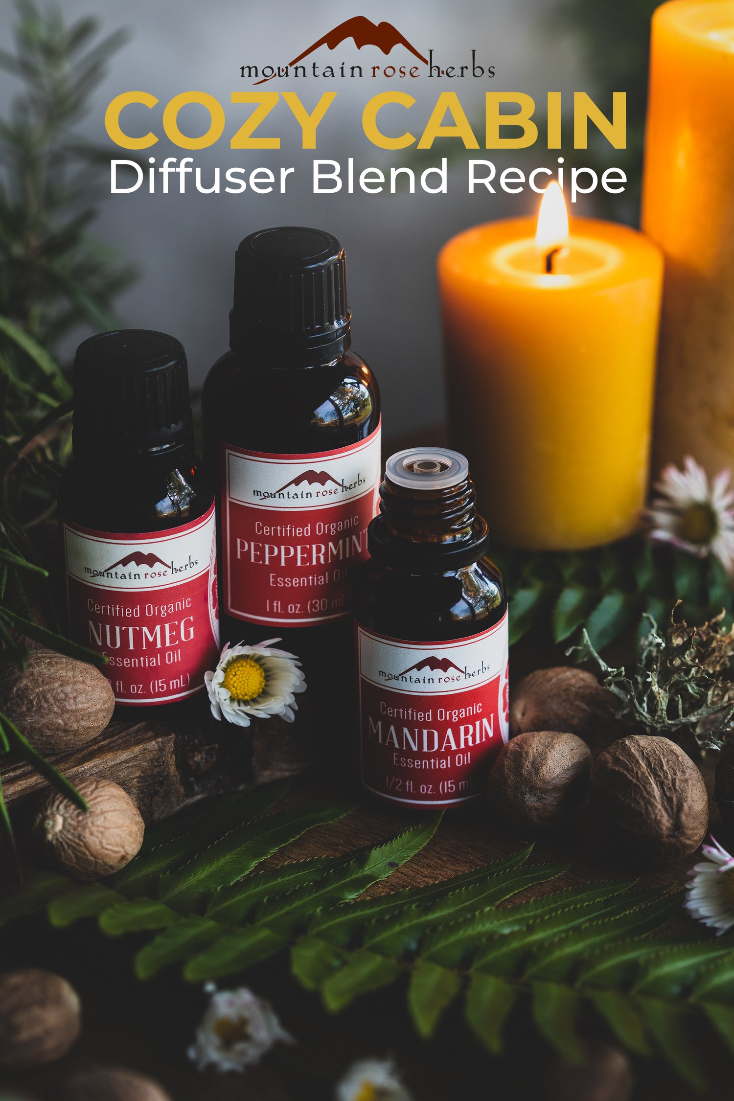 Cozy Cabin Diffuser Blend Recipe