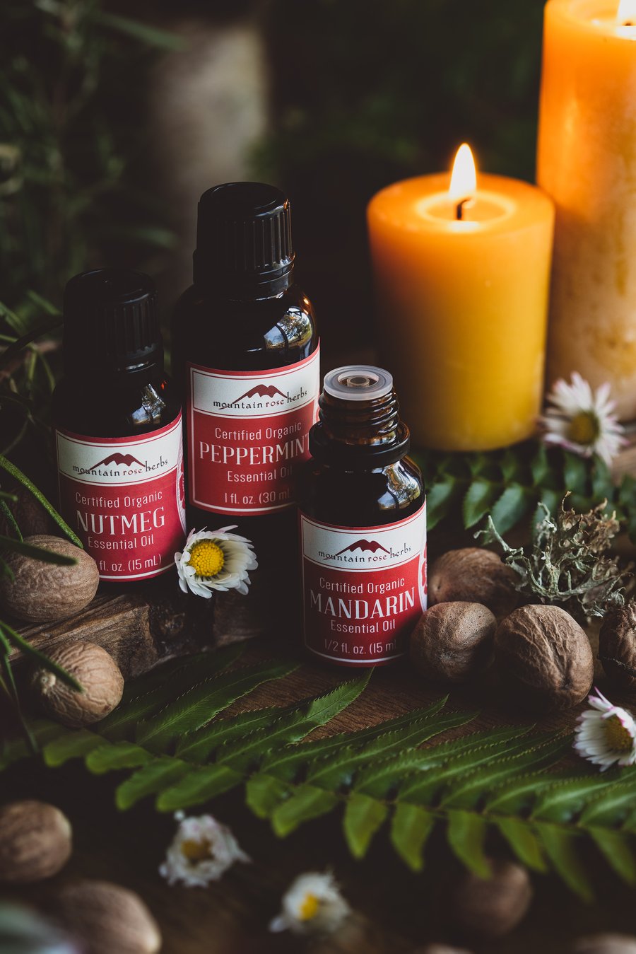 Cozy Cabin Diffuser Blend Recipe