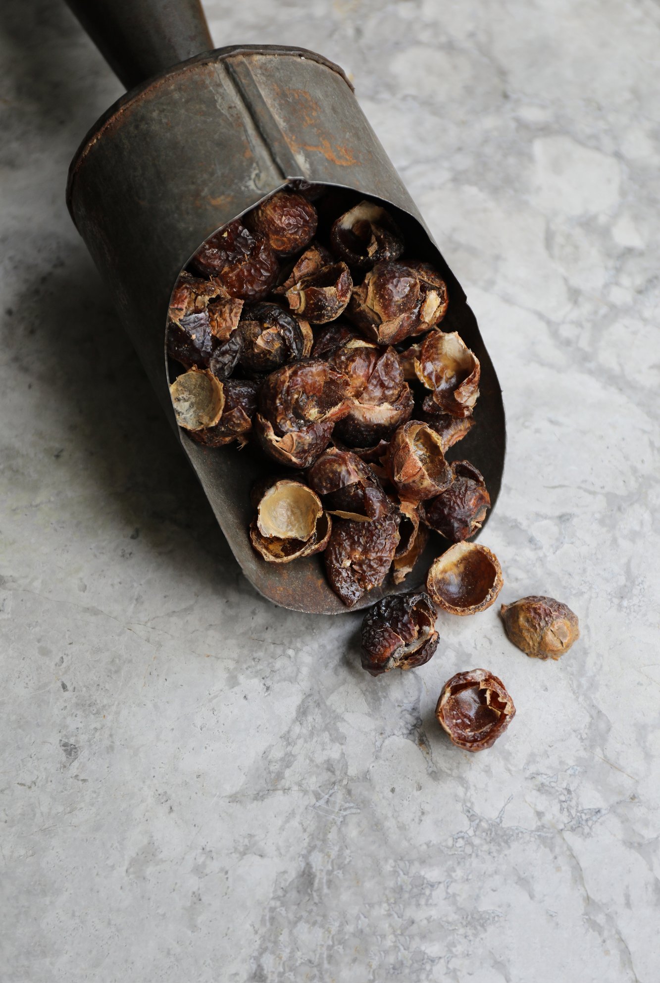 Soap Nuts: A Natural DIY Option for Your Laundry