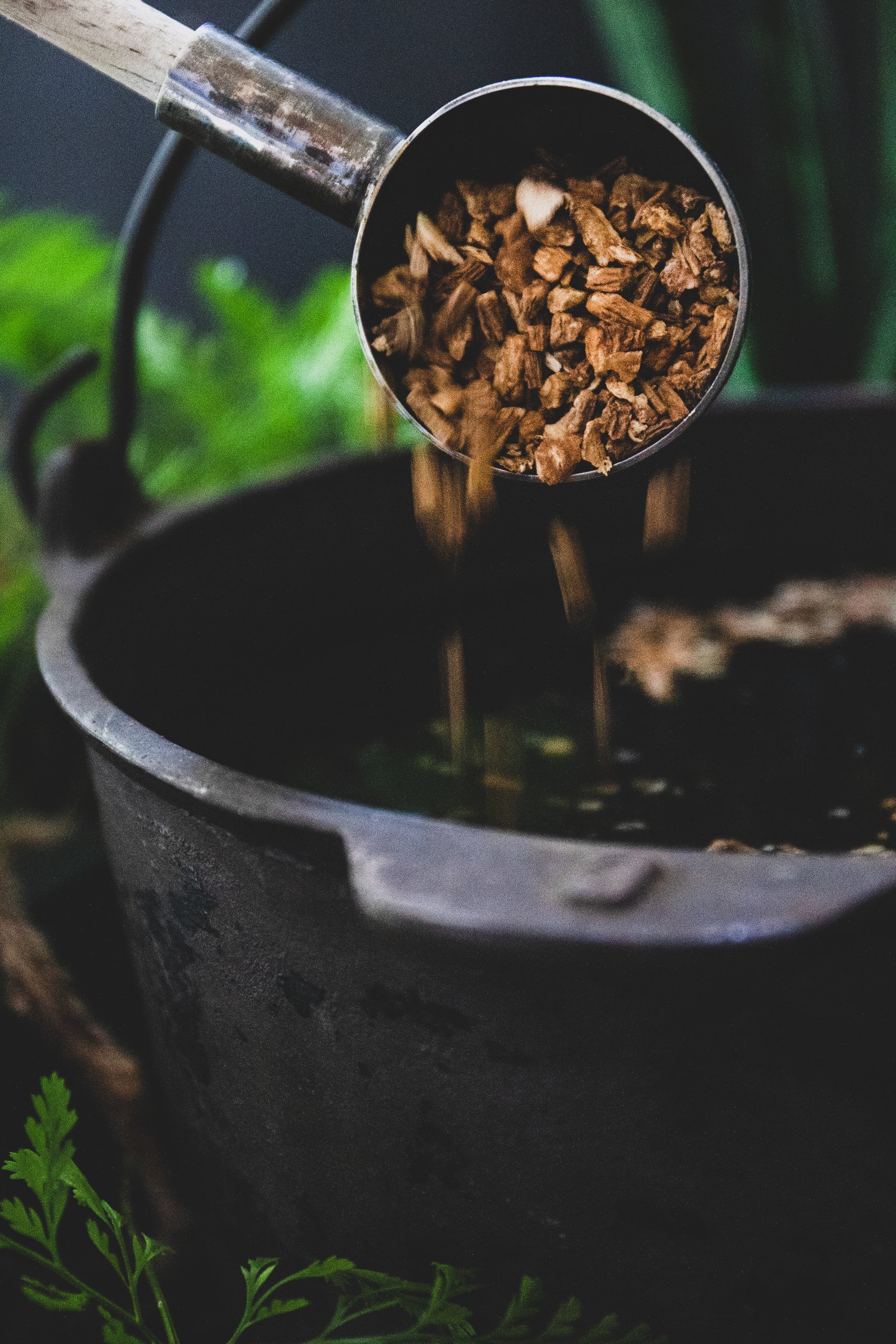 How to Make a Mushroom Double Extraction