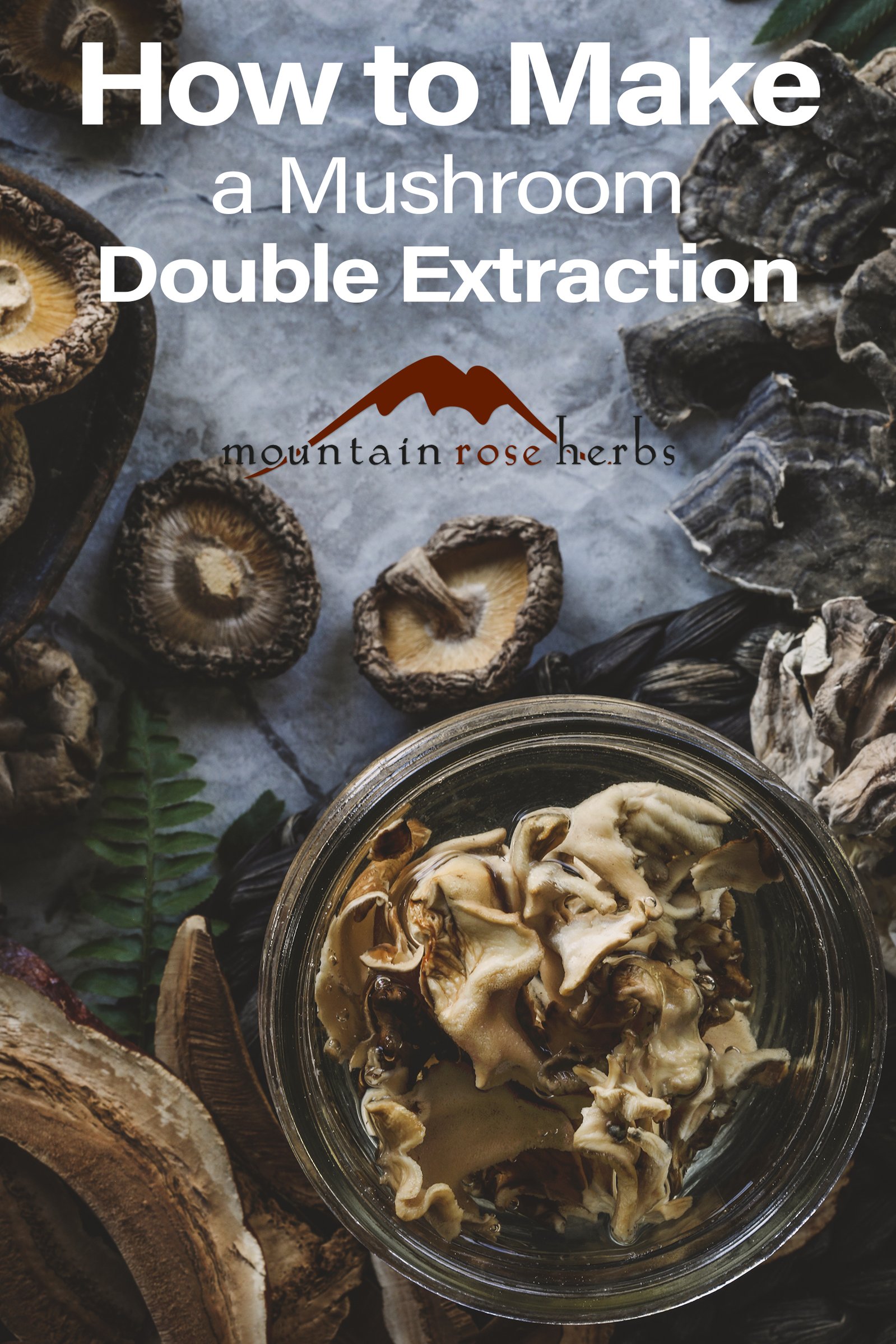 How to Make a Mushroom Double Extraction