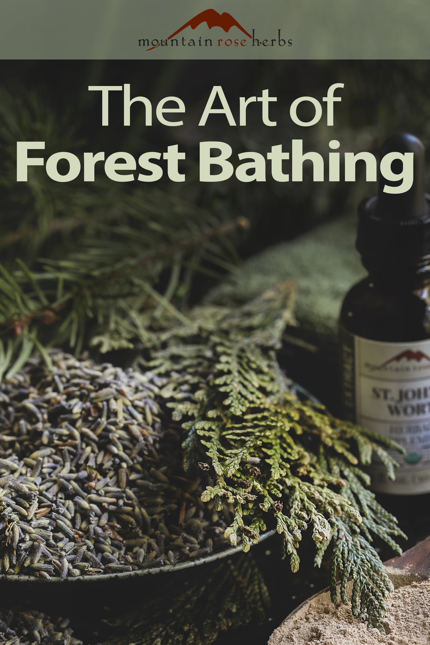 The Art of Forest Bathing