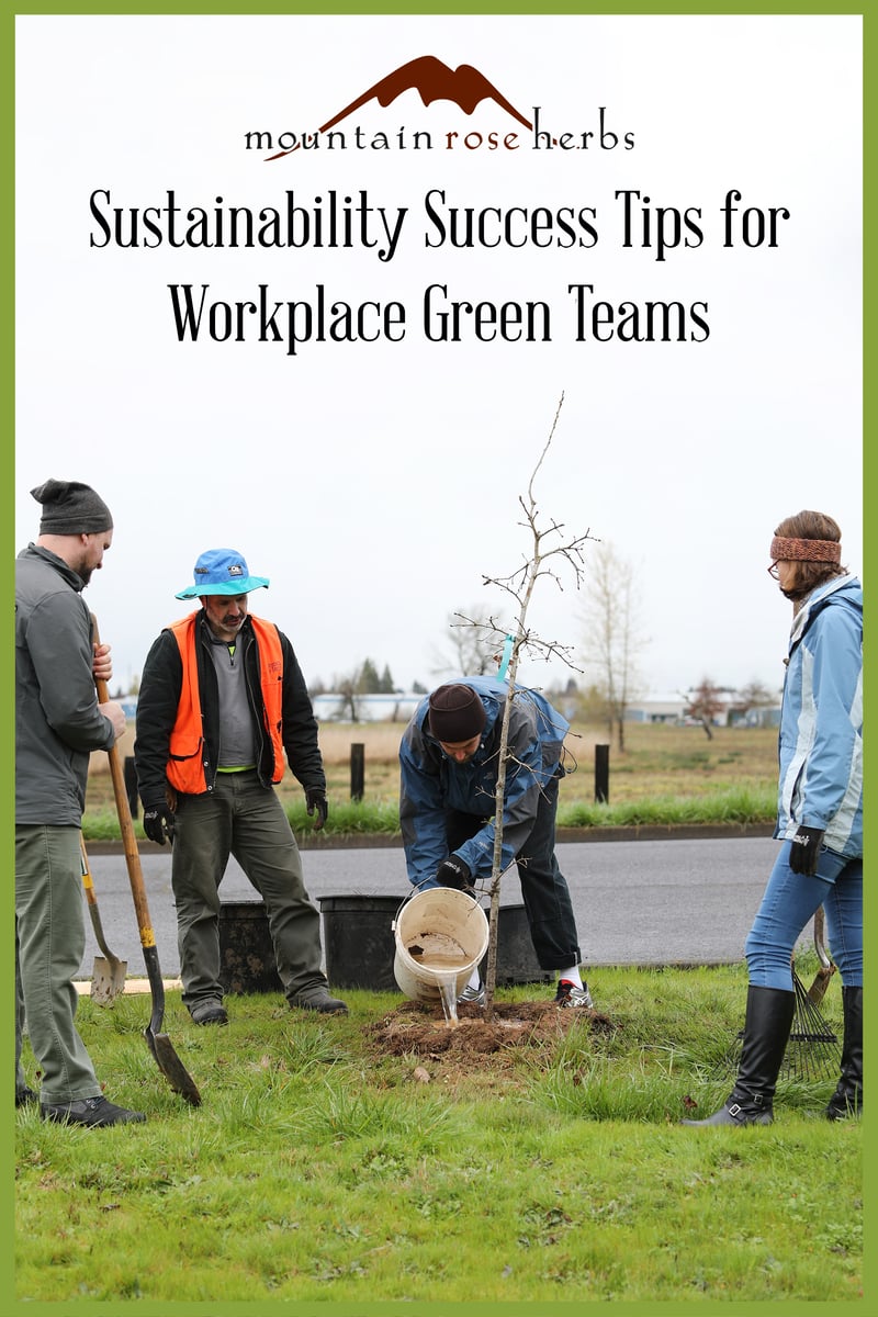 Score Sustainability Wins with a Workplace Green Team
