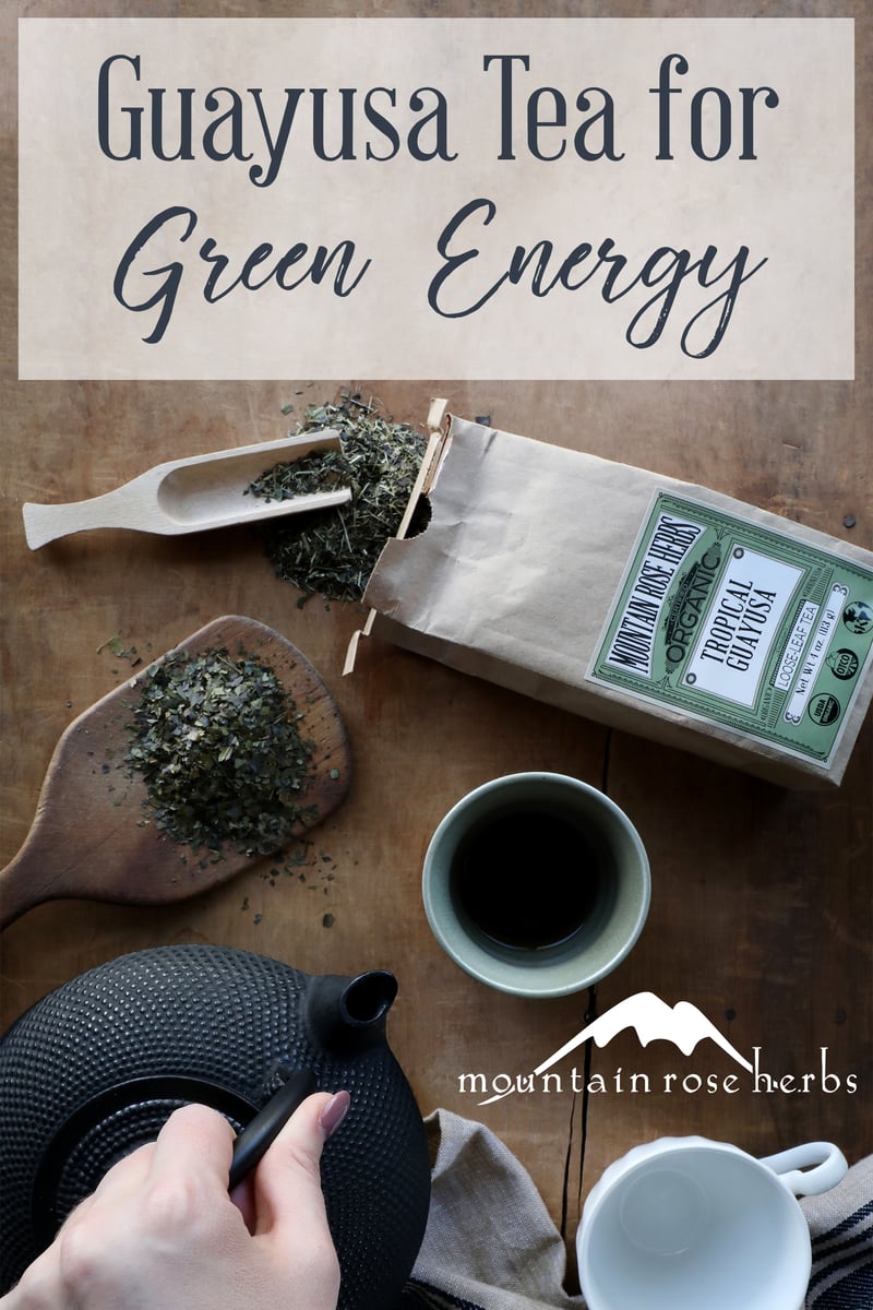 What Is Guayusa Tea?