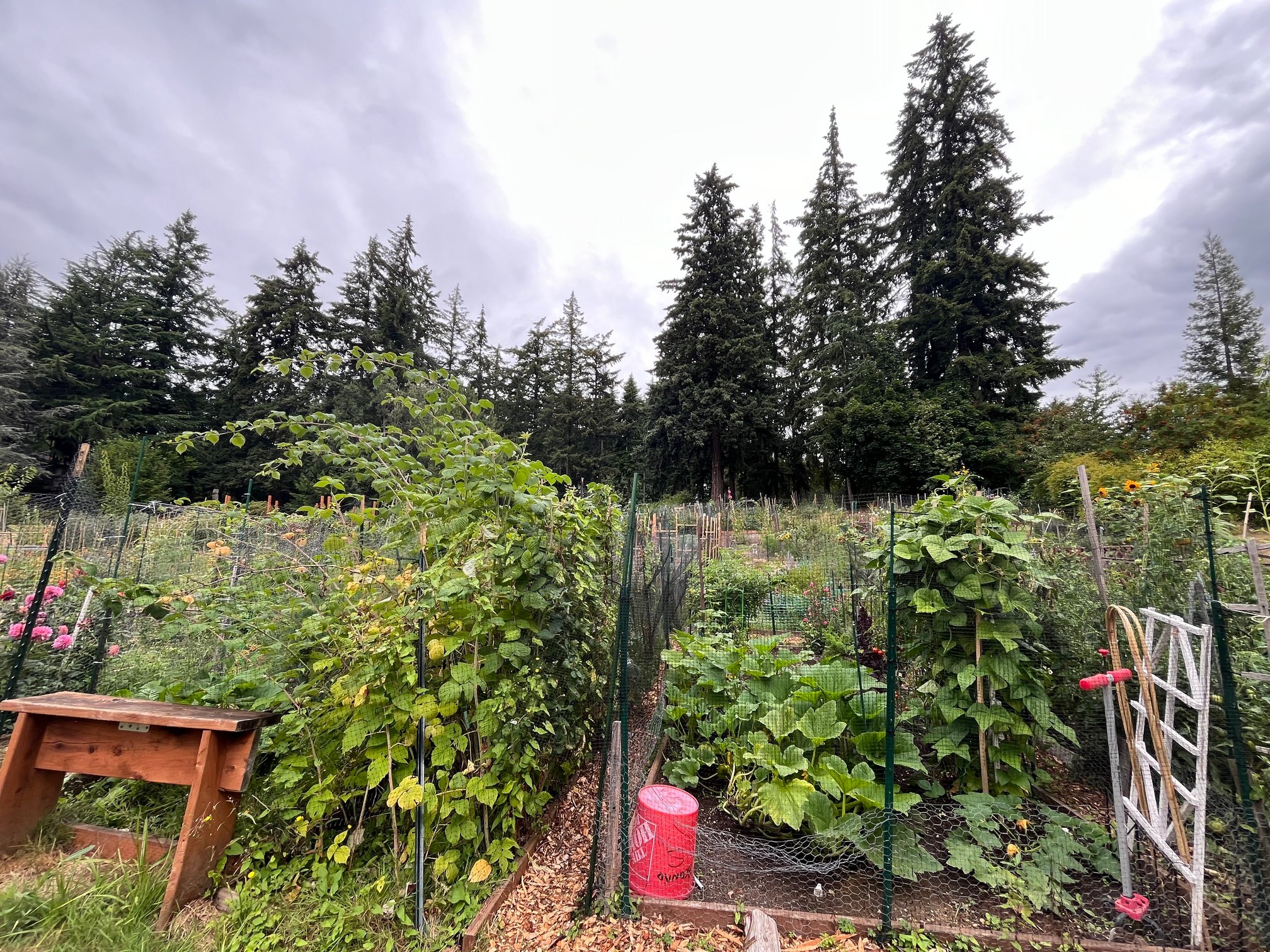 Expanding Community Connections with the Tilth Alliance