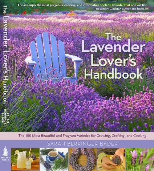 The Lavender Lover's Handbook *Book Review*