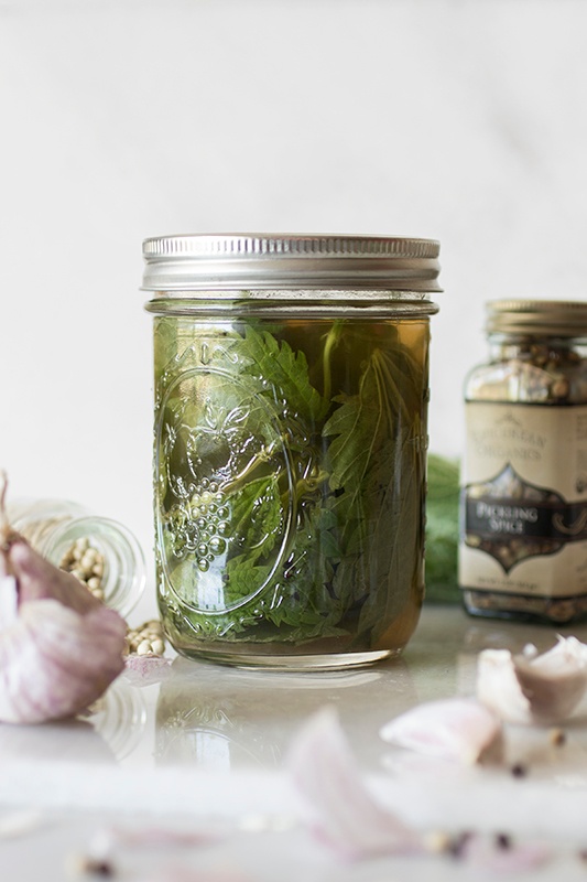 Spring Recipes: Stinging Nettle Harvest