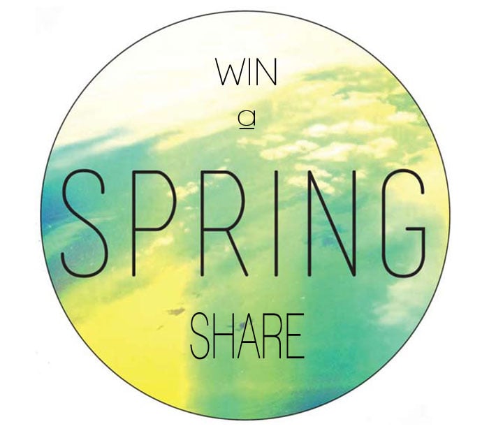 Spring Tonic Vinegar Recipe & Giveaway!