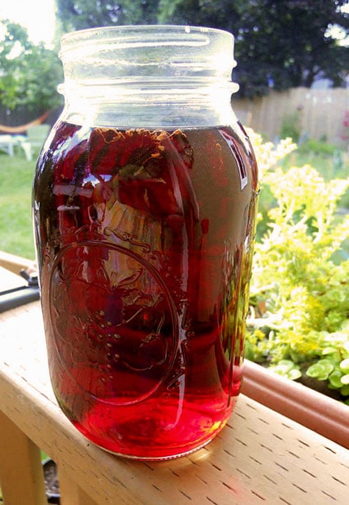 Rose and Berry Sun Tea Recipe with Rose Petals and Rosehips