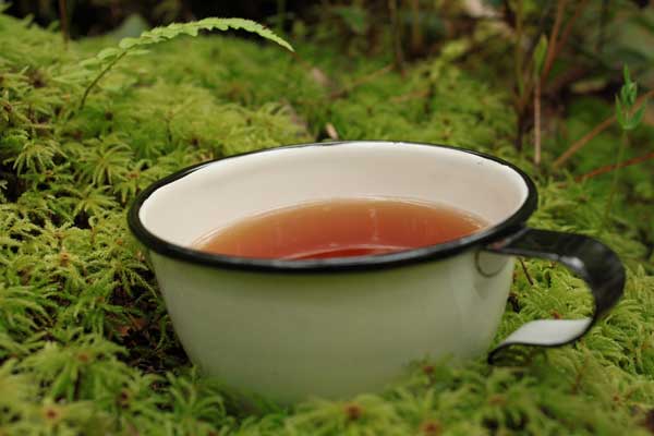 Do All Things Herbal Tea Blend Recipe with Oatstraw